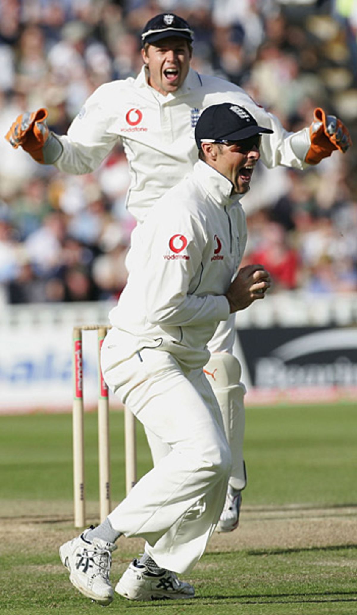 Daren Powell appeals for an lbw | ESPNcricinfo.com