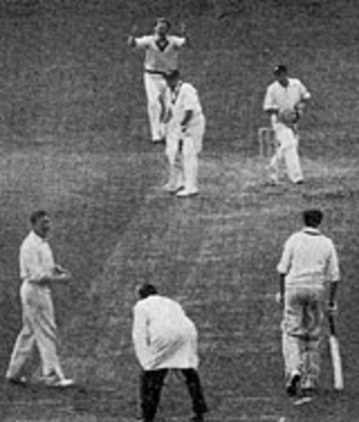 Image | ESPNcricinfo.com