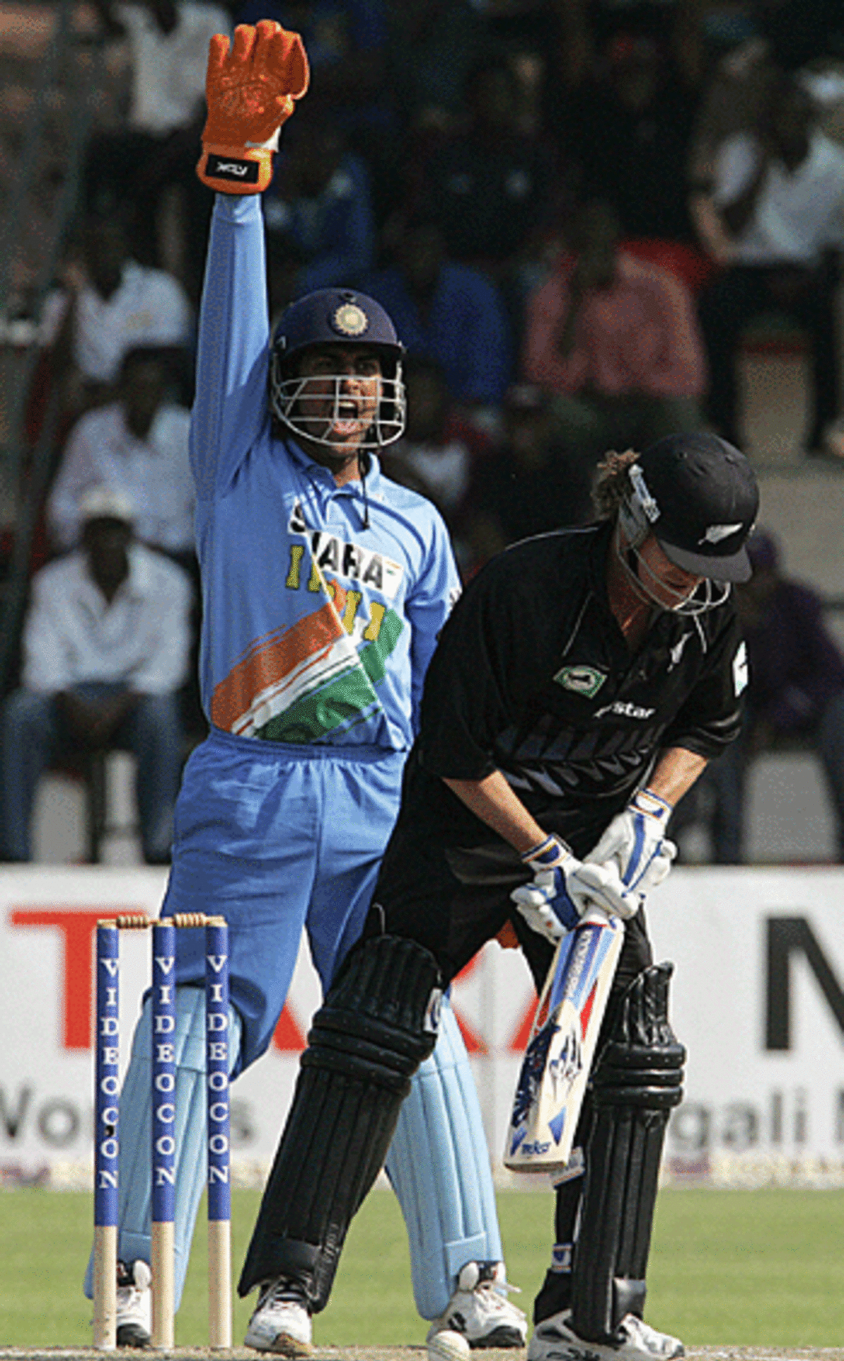 Mahendra Dhoni appeals for the wicket of Hamish Marshall | ESPNcricinfo.com