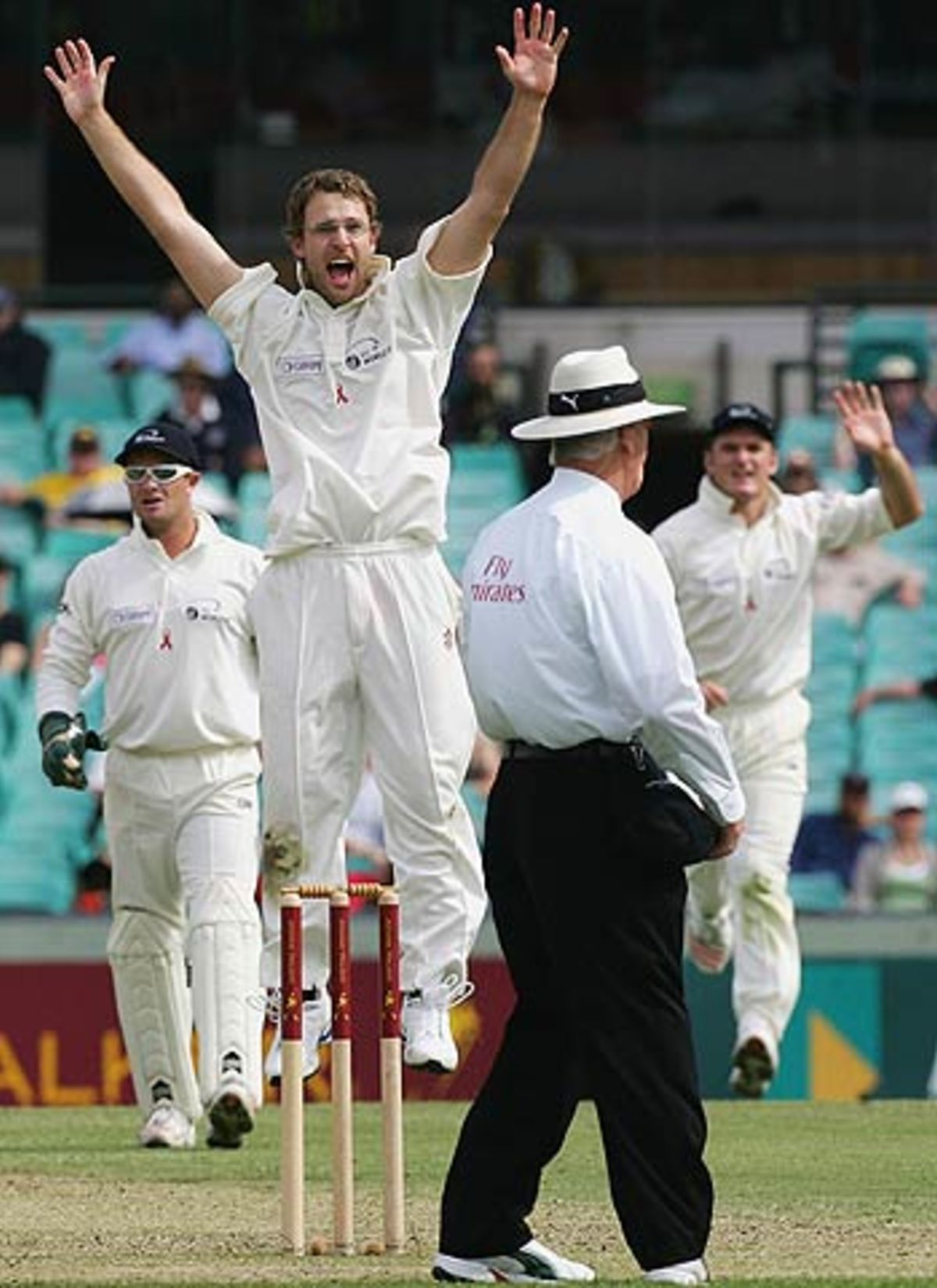 Matthew Hayden winds up to sweep | ESPNcricinfo.com