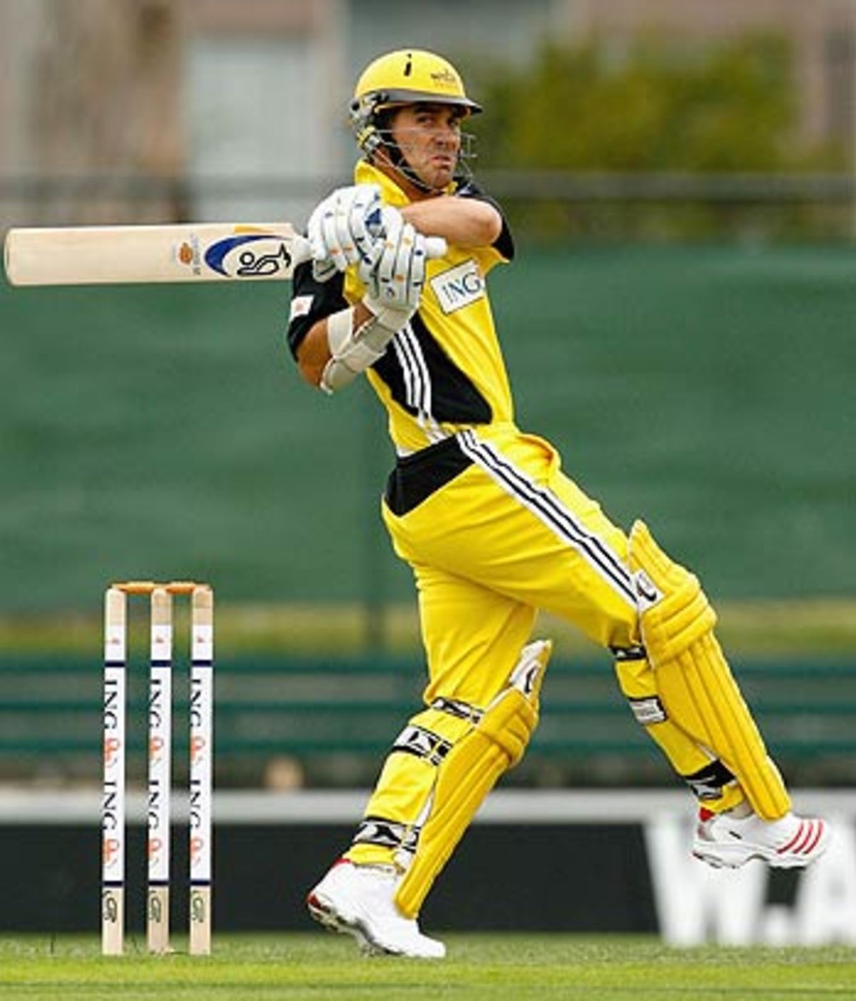 Justin Langer managed 21 runs before leaving the field injured ...