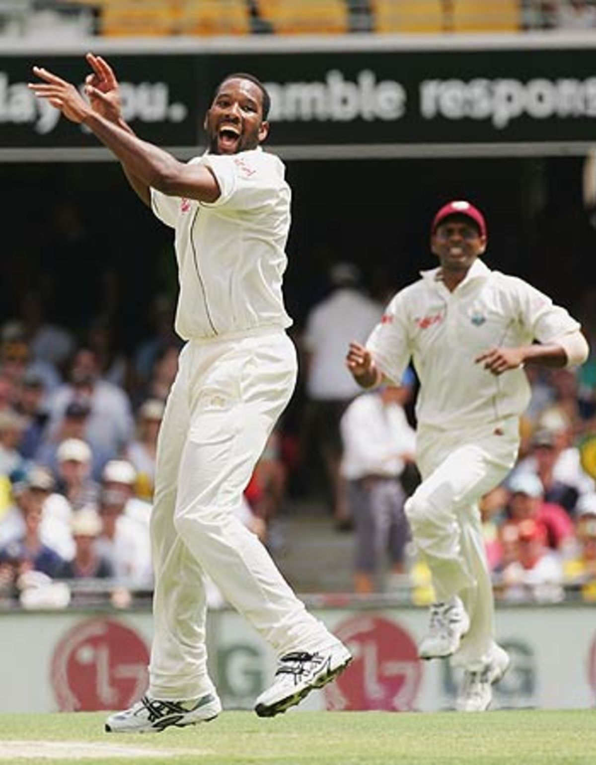 Corey Collymore is elated after dismissing Michael Clarke ...