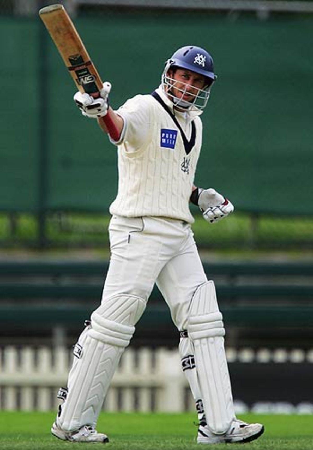 David Hussey celebrates his century | ESPNcricinfo.com