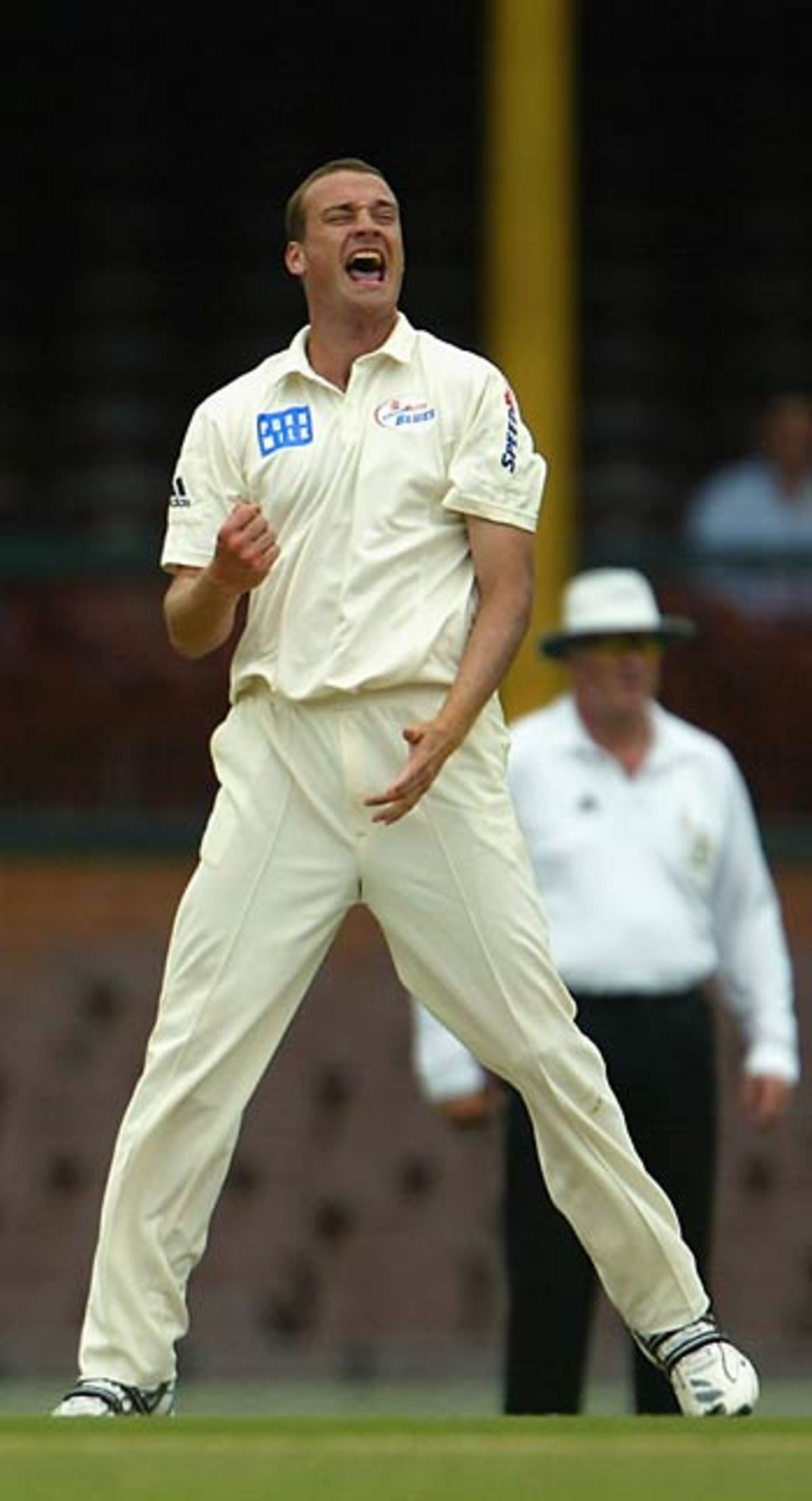 Stuart Clark is ecstatic after dismissing Michael Di Venuto ...