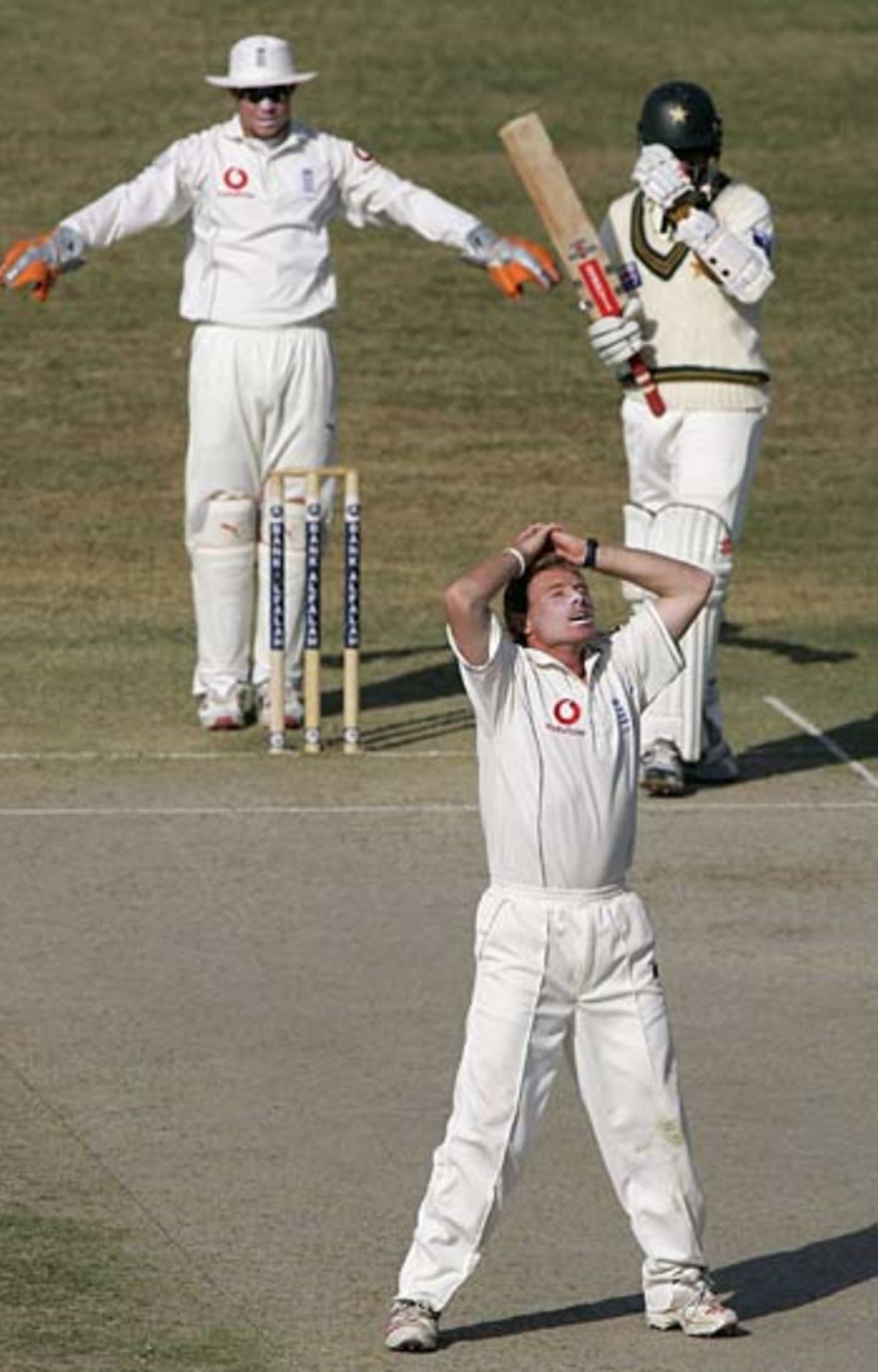Ian Bell pleads for an lbw | ESPNcricinfo.com