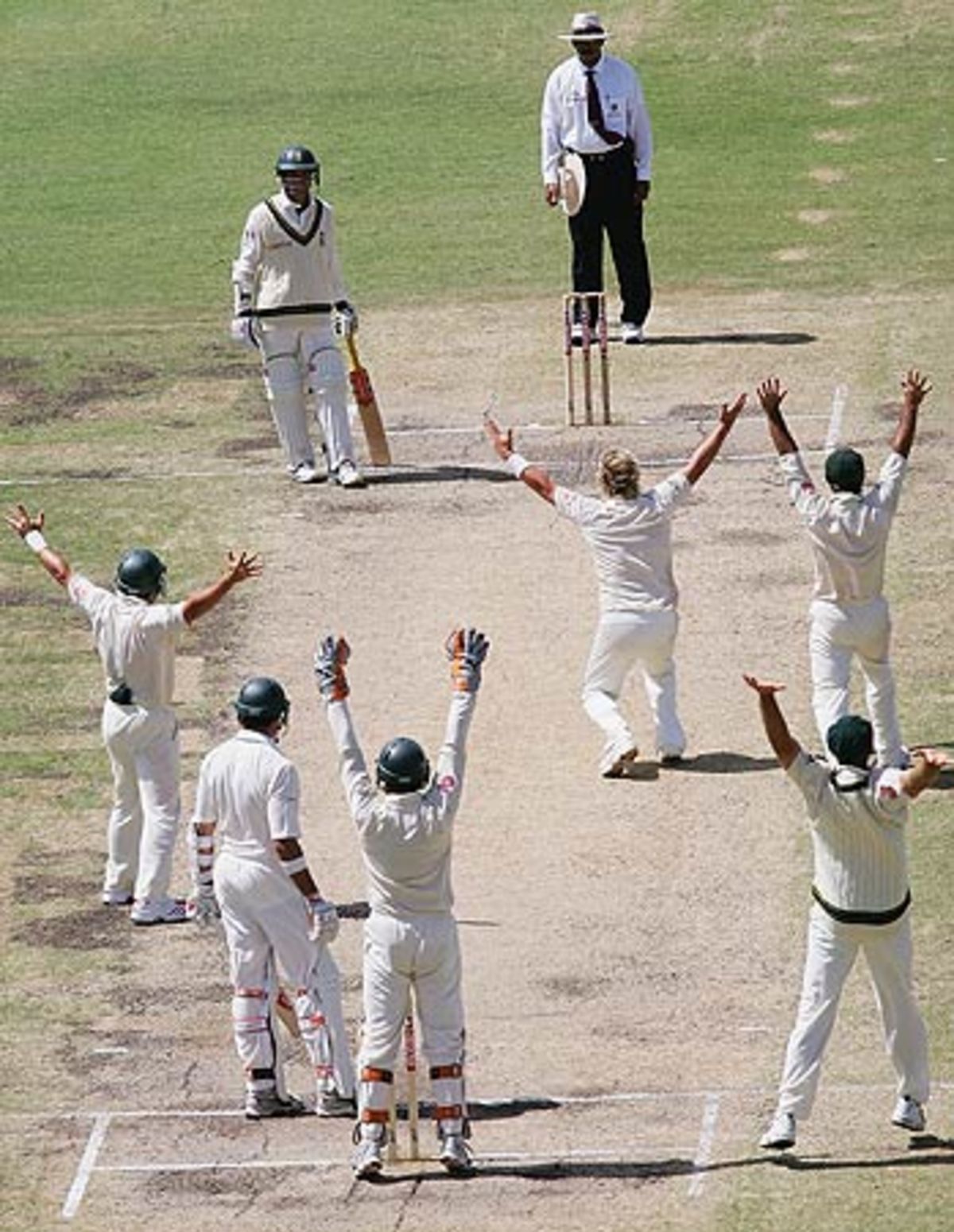 Men at arms...the Australians plead for Justin Kemp's wicket ...