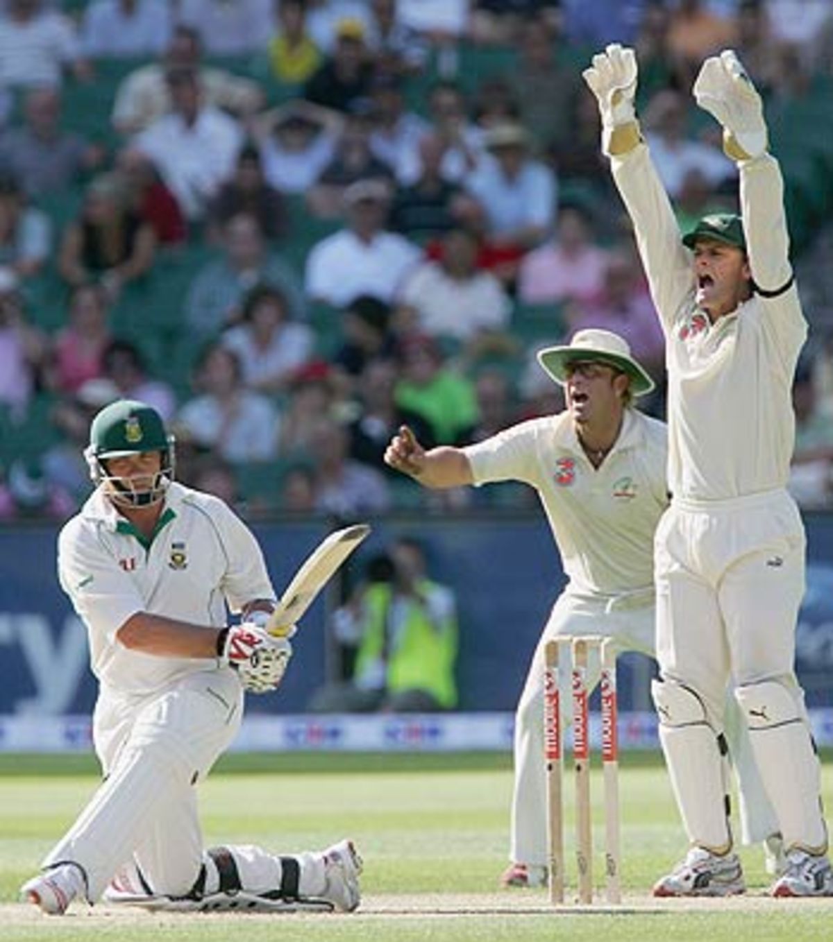 Brett Lee goes all out in an appeal | ESPNcricinfo.com