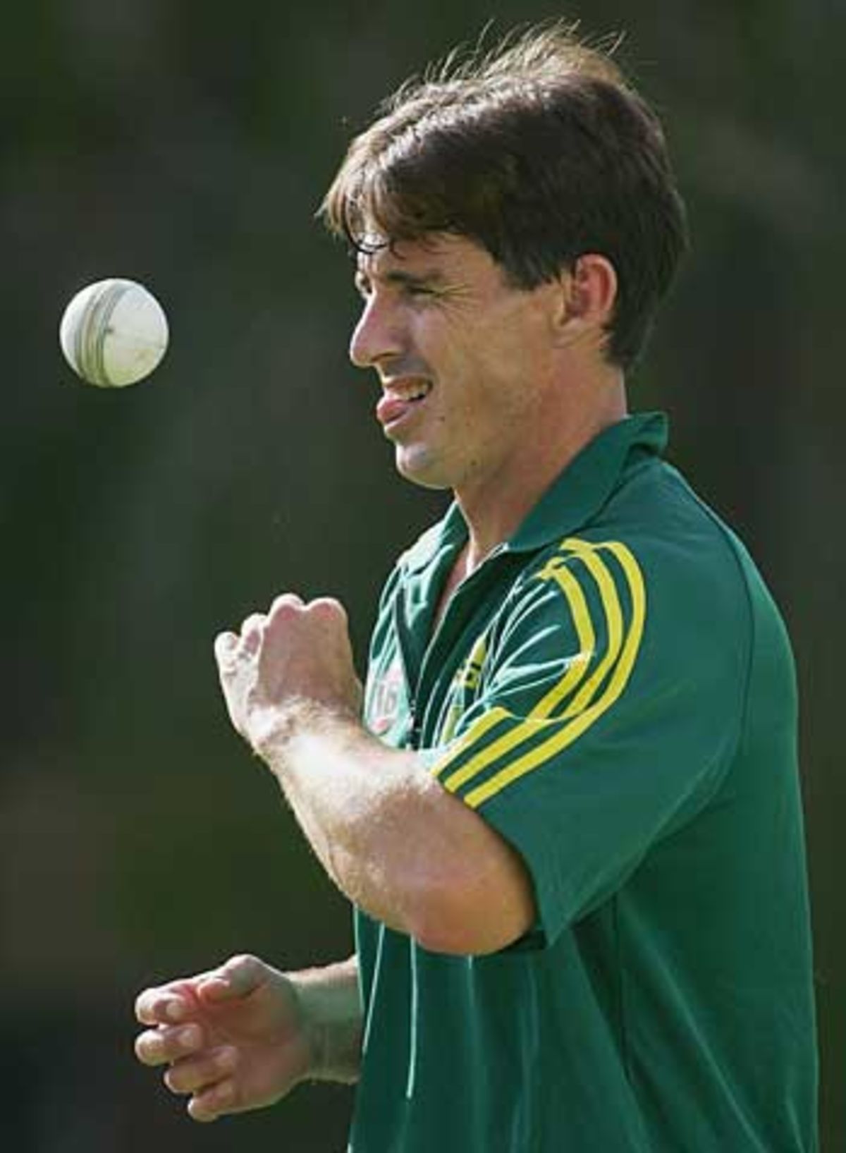 Brad Hogg thinks long and hard about his bowling | ESPNcricinfo.com
