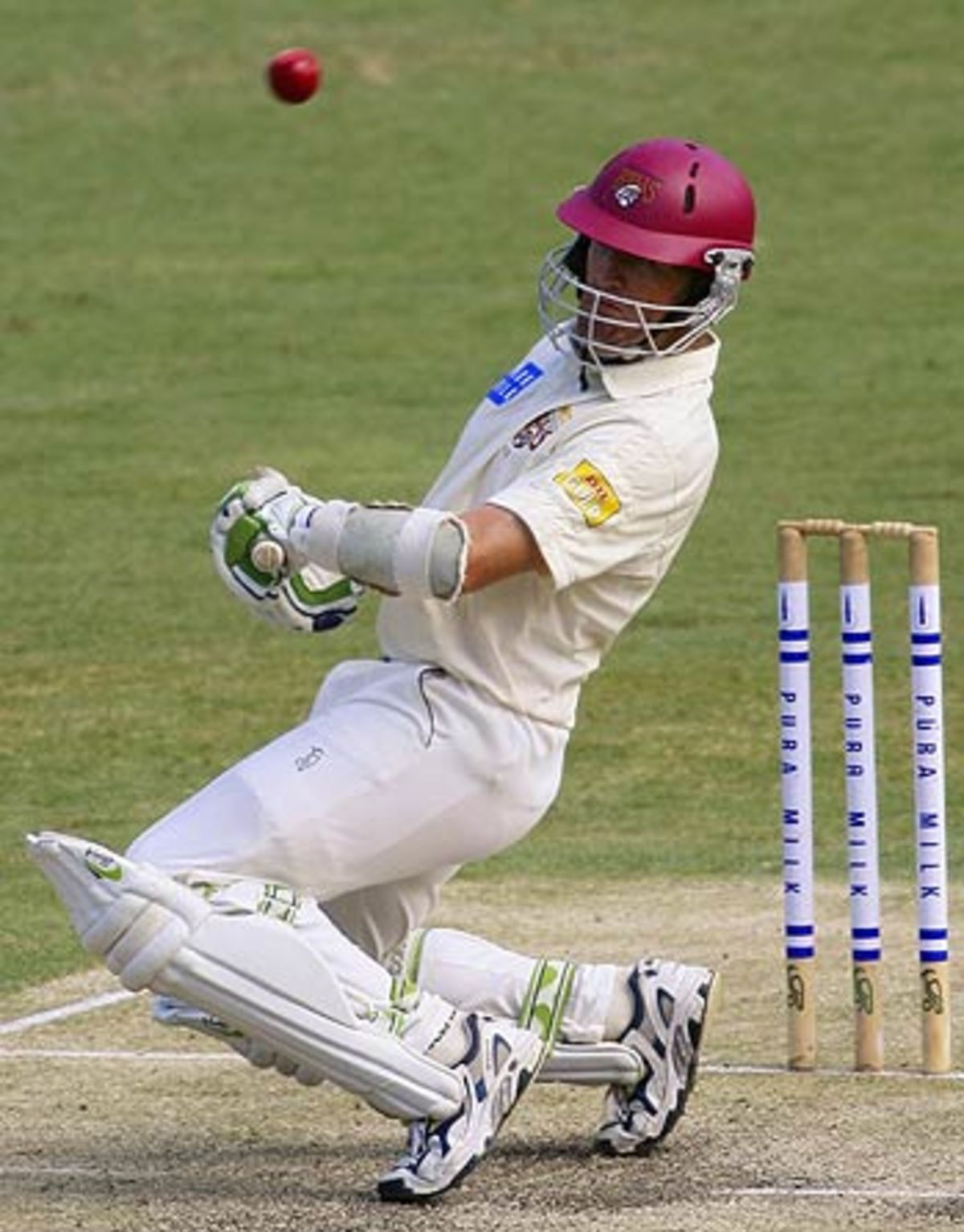 Clinton Perren celebrates his hundred | ESPNcricinfo.com