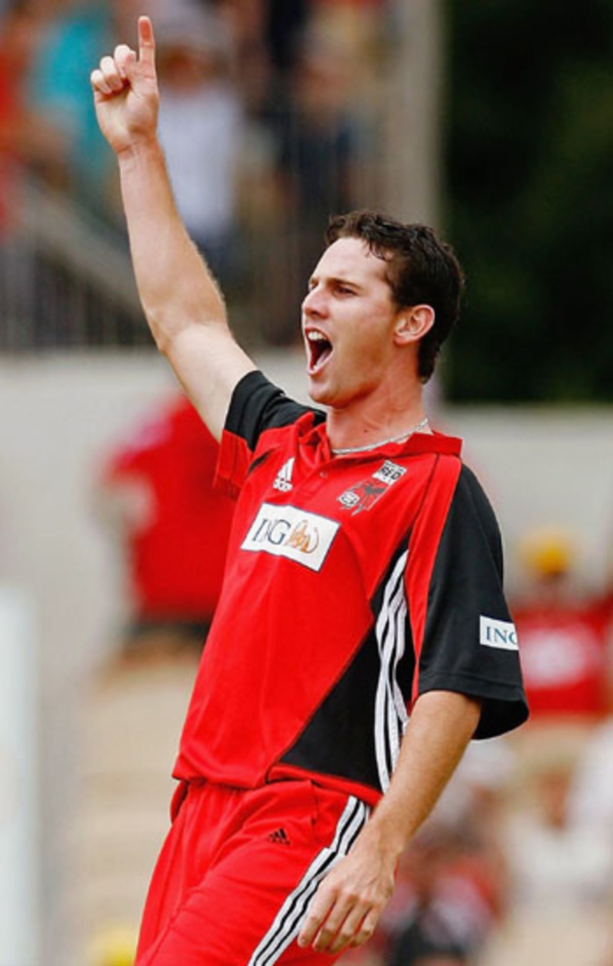 Shaun Tait celebrates a wicket in the ING Cup final against New South ...