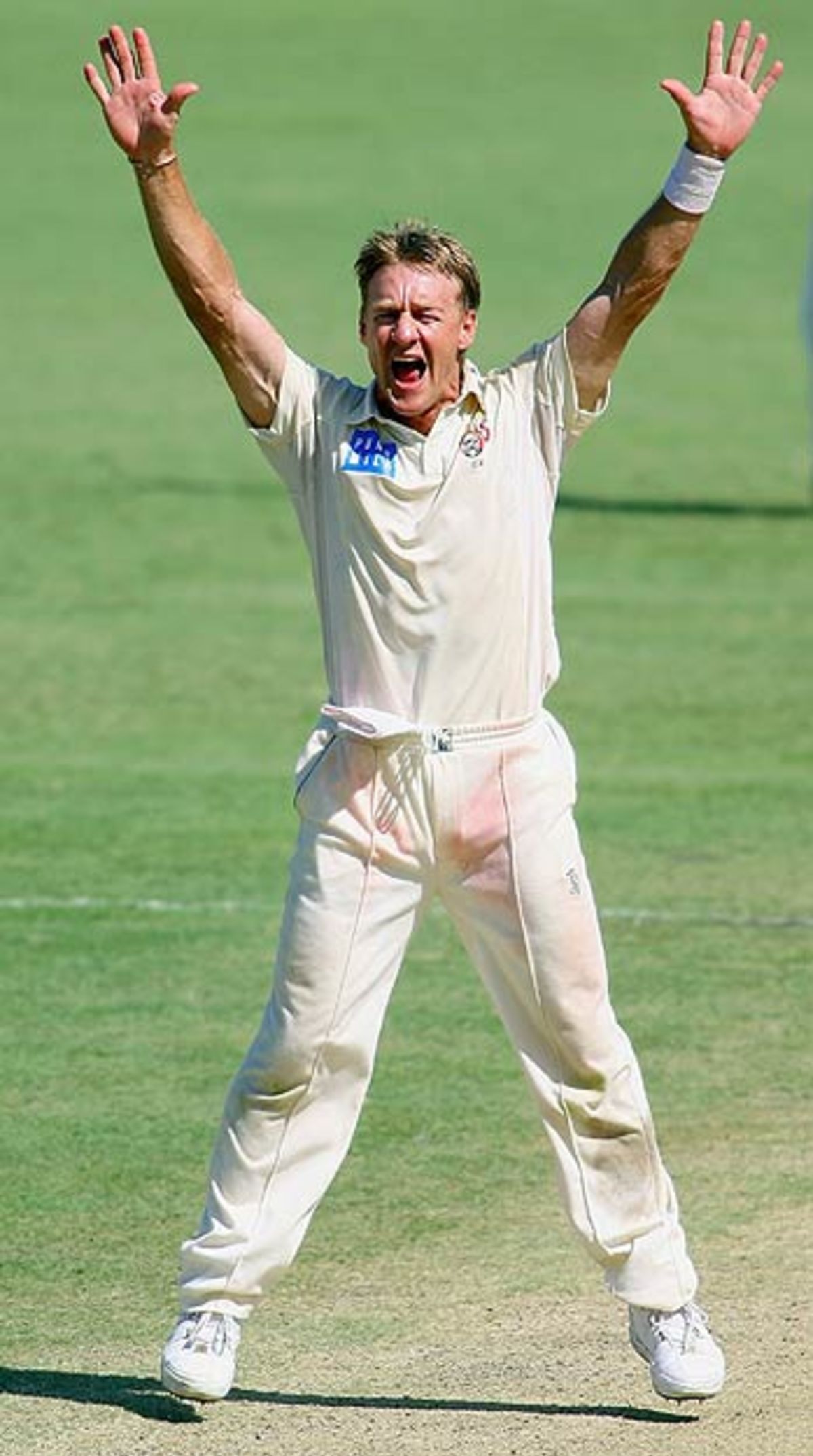 Andy Bichel roars an appeal | ESPNcricinfo.com