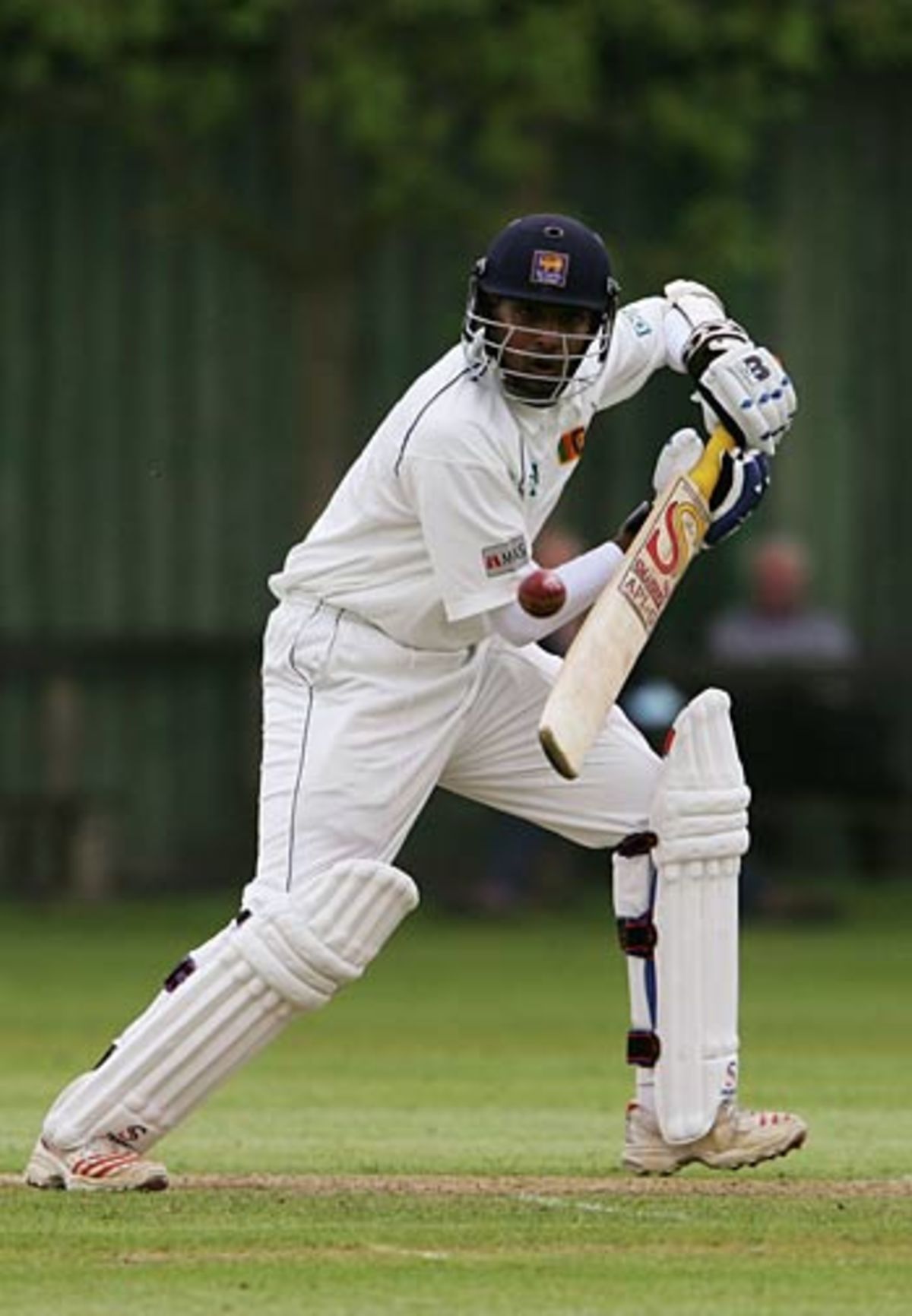 Tilan Samaraweera plays through the offside | ESPNcricinfo.com