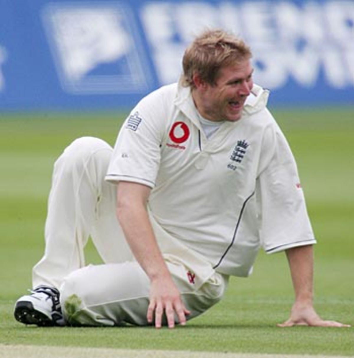 Happy days: Matthew Hoggard chuckles after grabbing his 200th Test ...