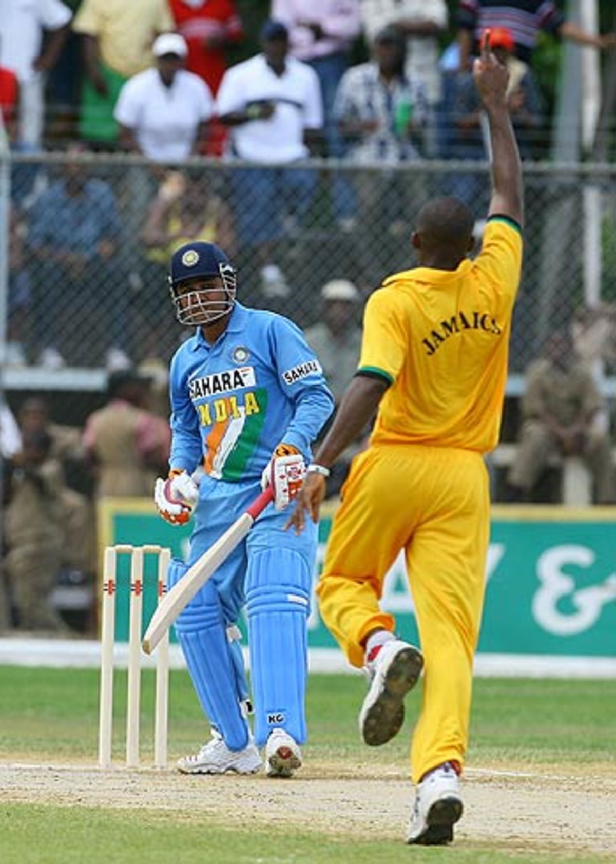 Daren Powell celebrates the fall of Virender Sehwag | ESPNcricinfo.com