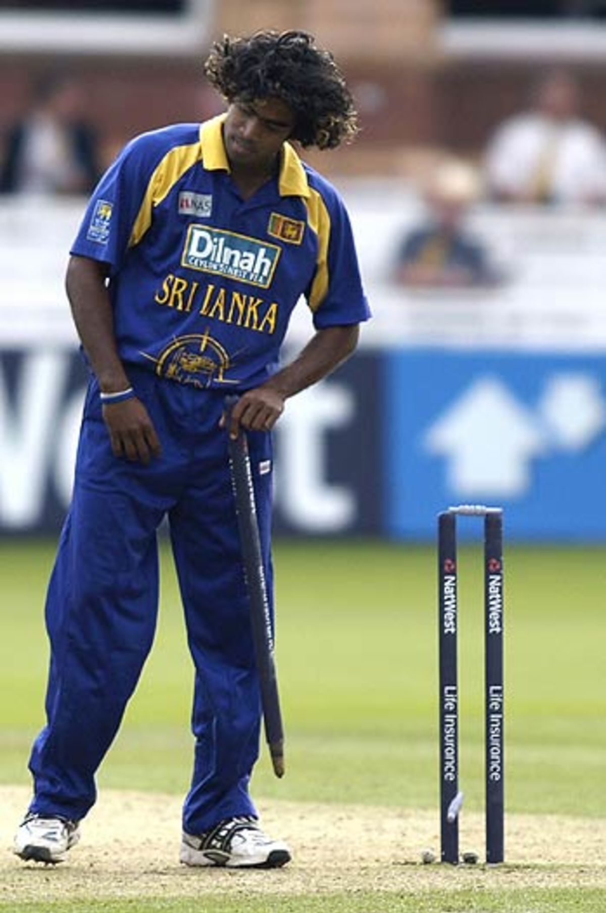 Lasith Malinga takes a souvenir after bowling the final over ...