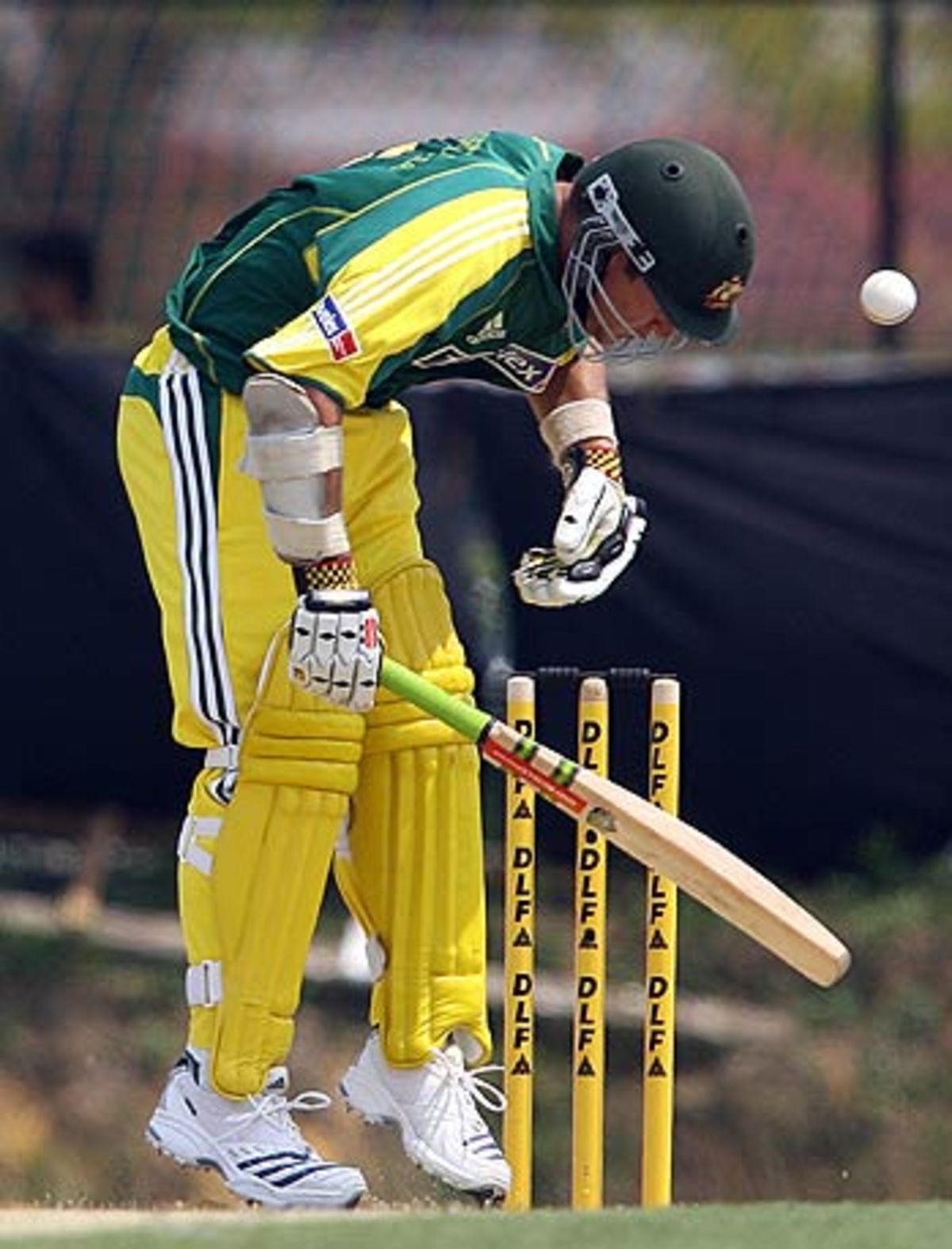 Fidel Edwards celebrates bowling Phil Jaques cheaply | ESPNcricinfo.com