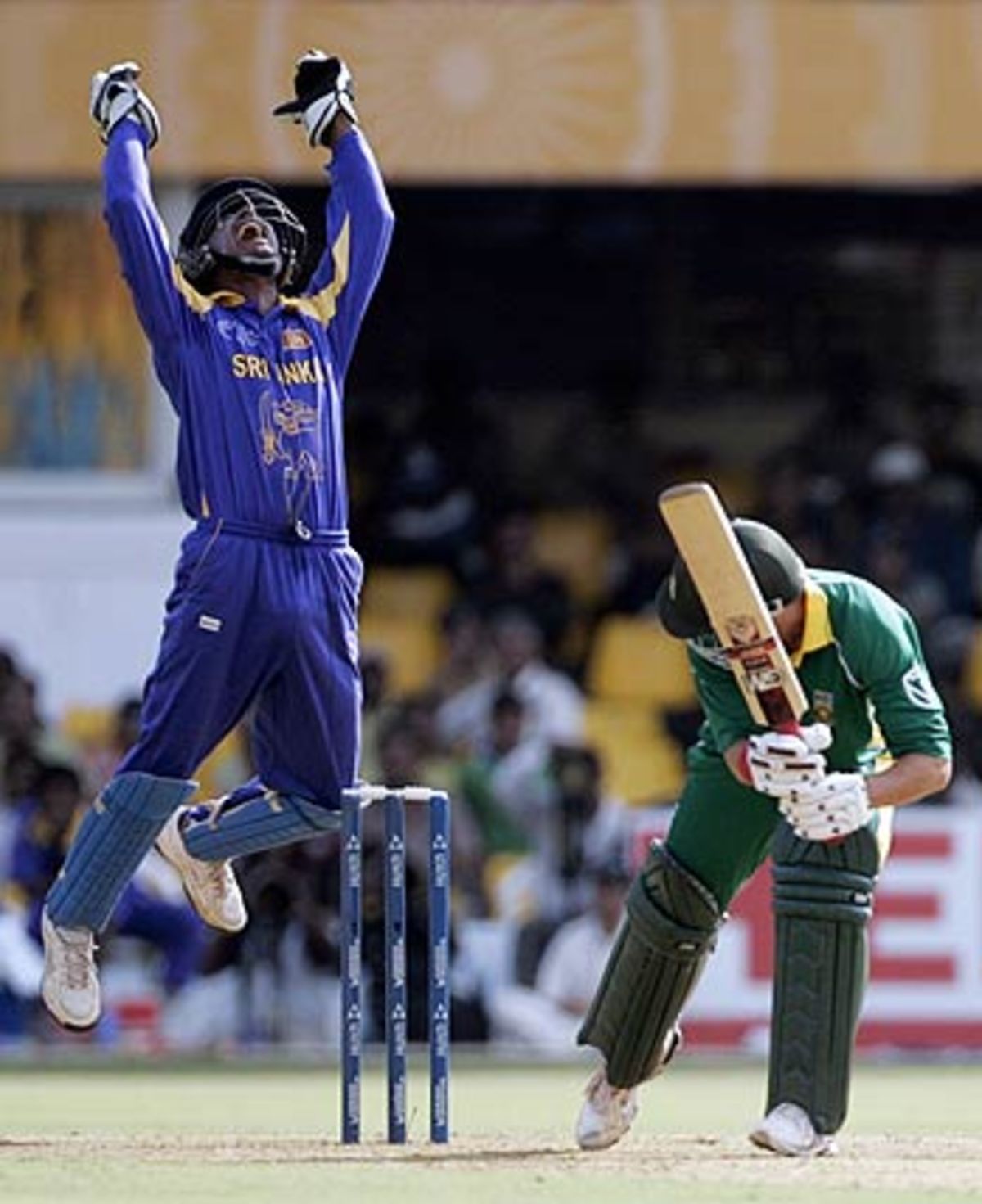 Sri Lanka celebrate their wicket-taking spree | ESPNcricinfo.com