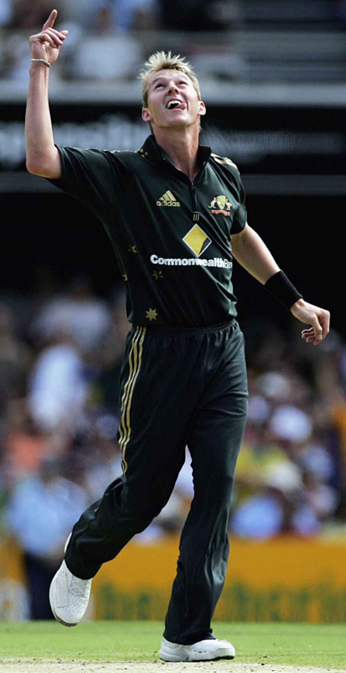 Brett Lee celebrates a wicket during his spell of 2 for 53 ...