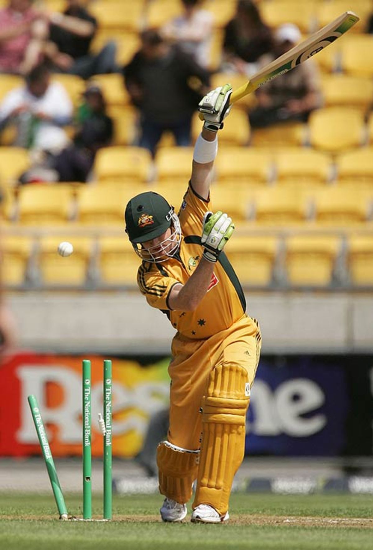 Shane Bond celebrates his spectacular return catch to remove Cameron ...