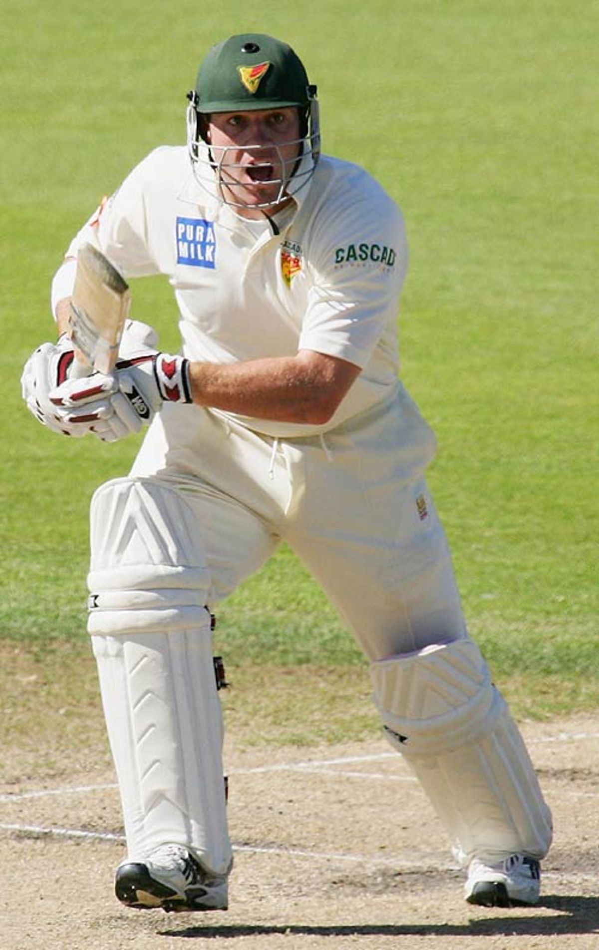 Stuart MacGill holds a return catch to remove Travis Birt ...