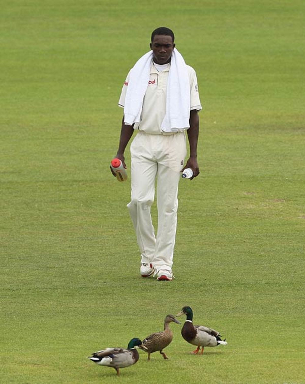 Fidel Edwards ruffled England's feathers at Chester-le-Street ...