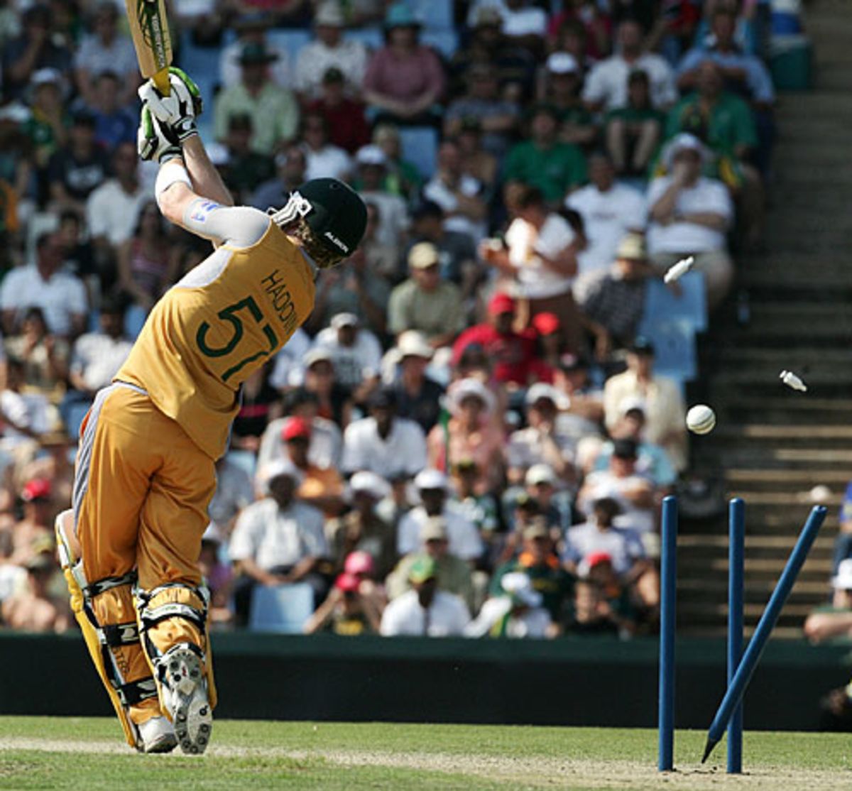 Brad Haddin's middle stump takes a walk | ESPNcricinfo.com