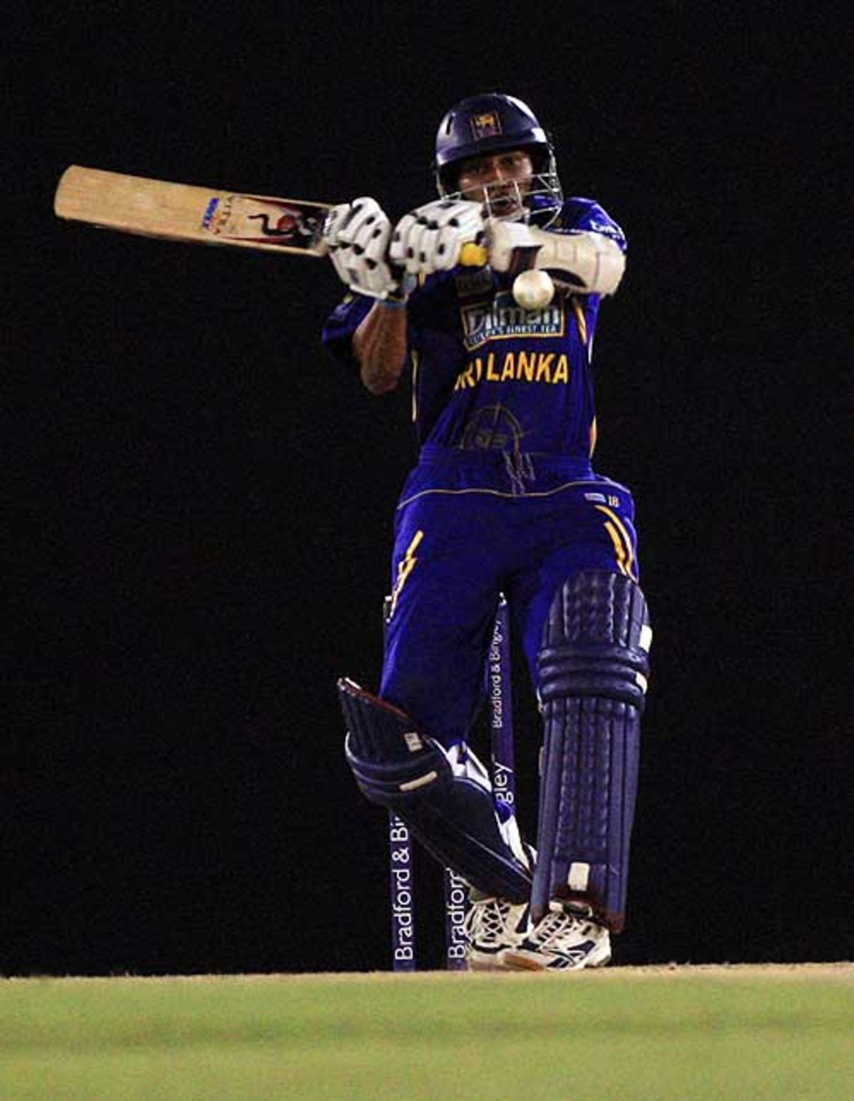 Tillakaratne Dilshan shapes for a pull | ESPNcricinfo.com