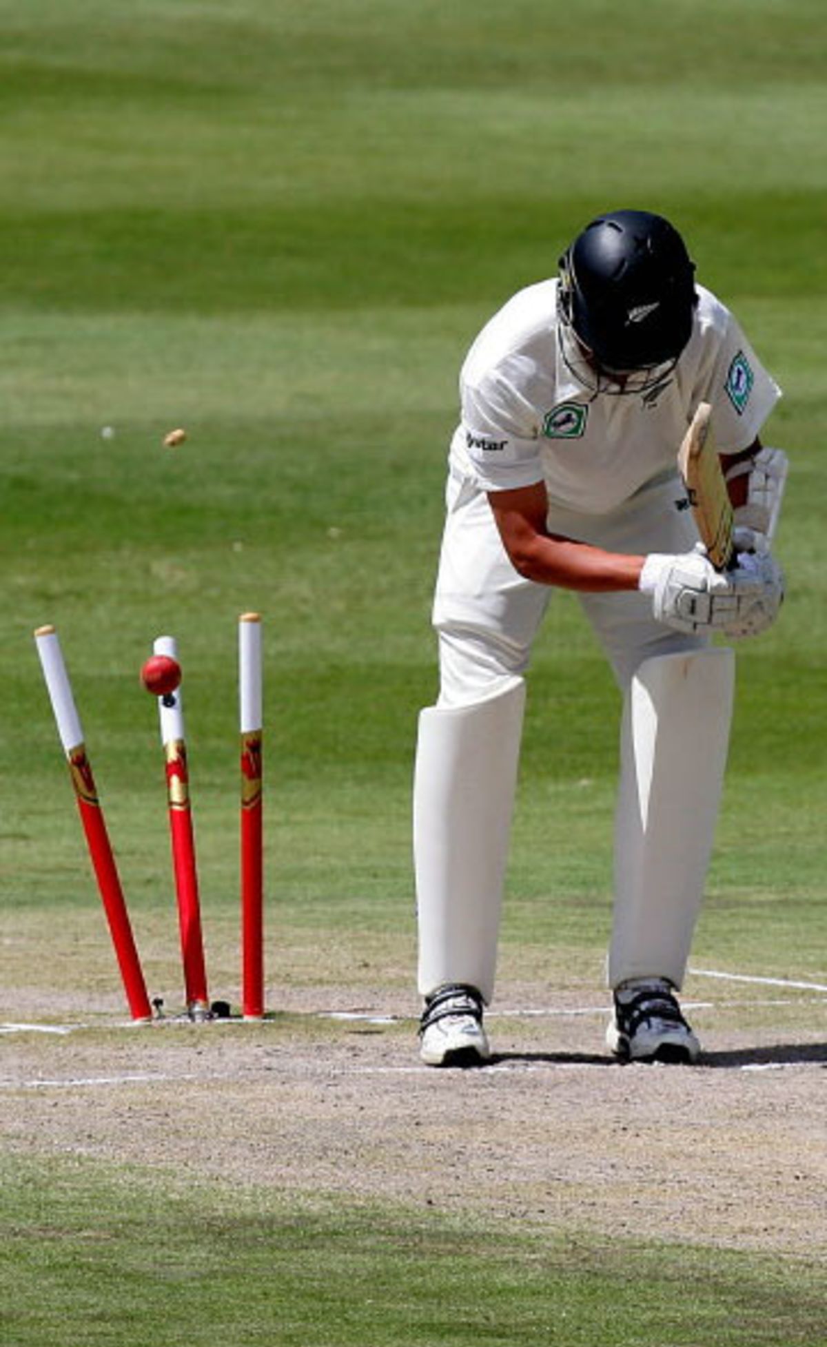 Tired but proud: Dale Steyn grabs a stump after picking up match ...