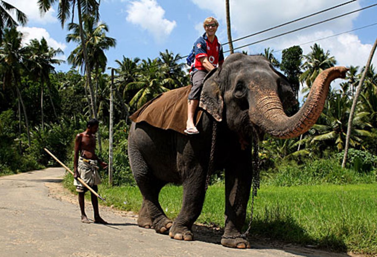 Matthew Hoggard rides an elephant | ESPNcricinfo.com