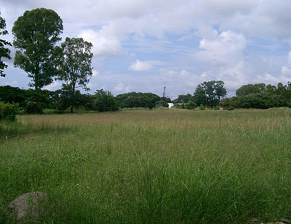 The outfield at Jameson cricket ground in Kadoma | ESPNcricinfo.com