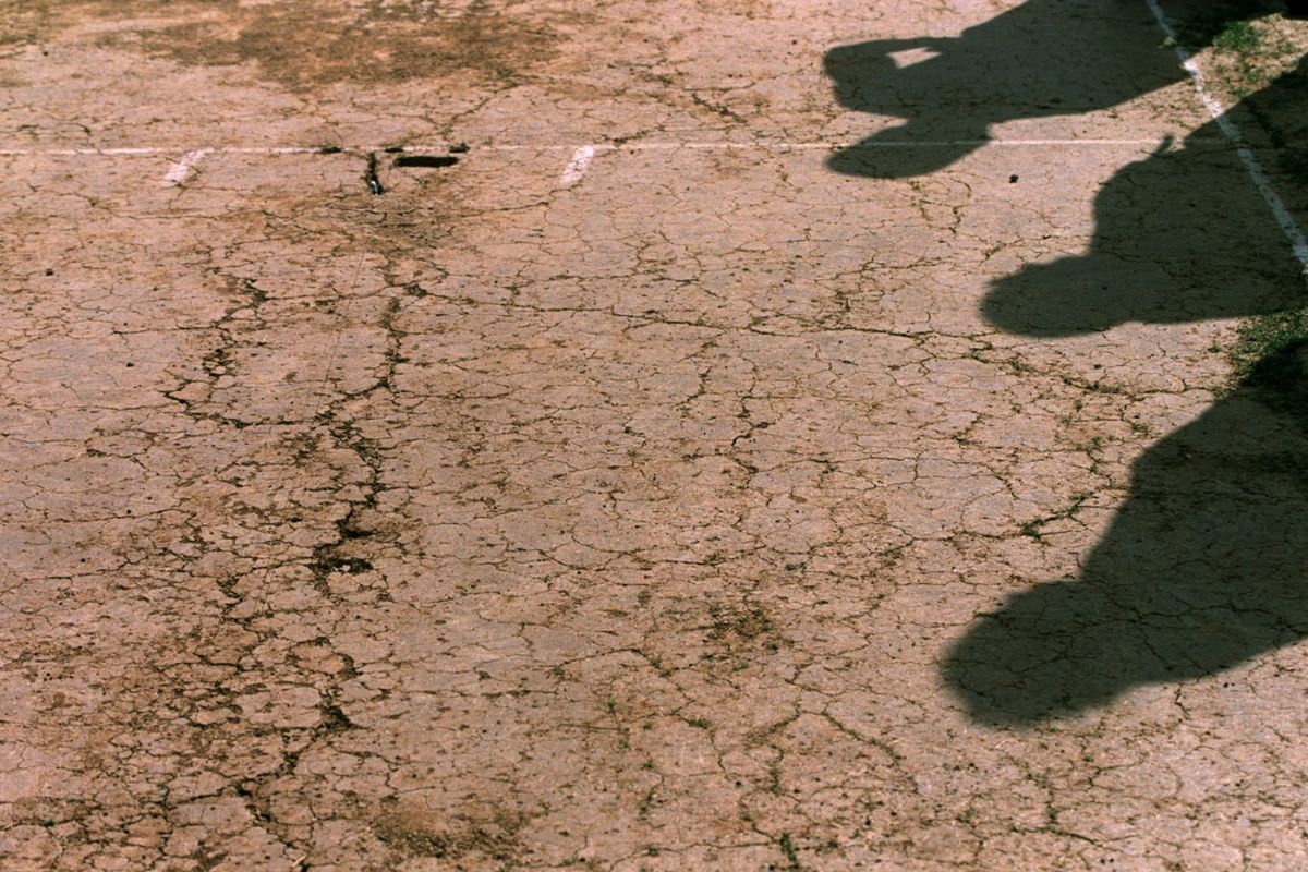 The pitch at Sabina Park after the abandonment of the first Test ...