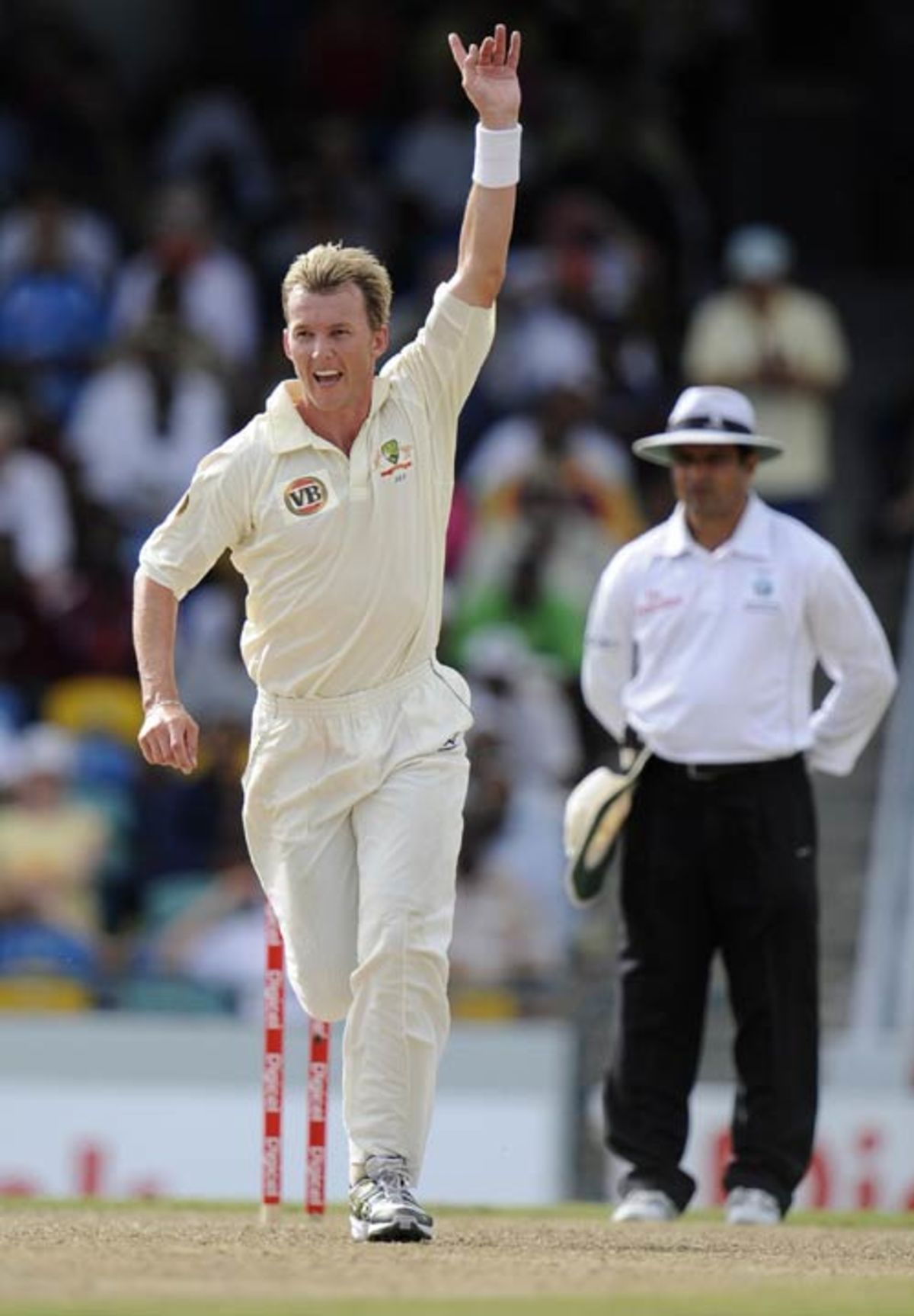 Brett Lee celebrates the wicket of Daren Powell | ESPNcricinfo.com