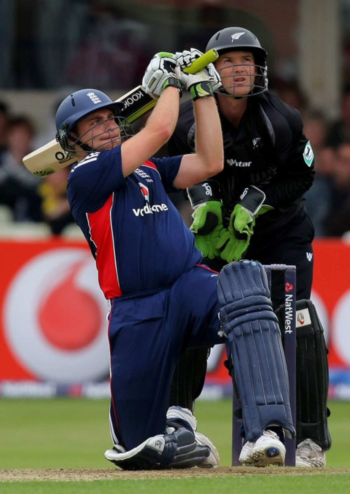 Michael Mason celebrates the wicket of Kevin Pietersen | ESPNcricinfo.com