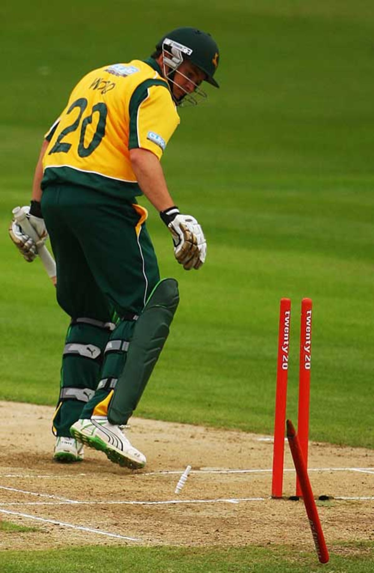 Matthew Wood has his off stump knocked back by Matthew Hoggard ...