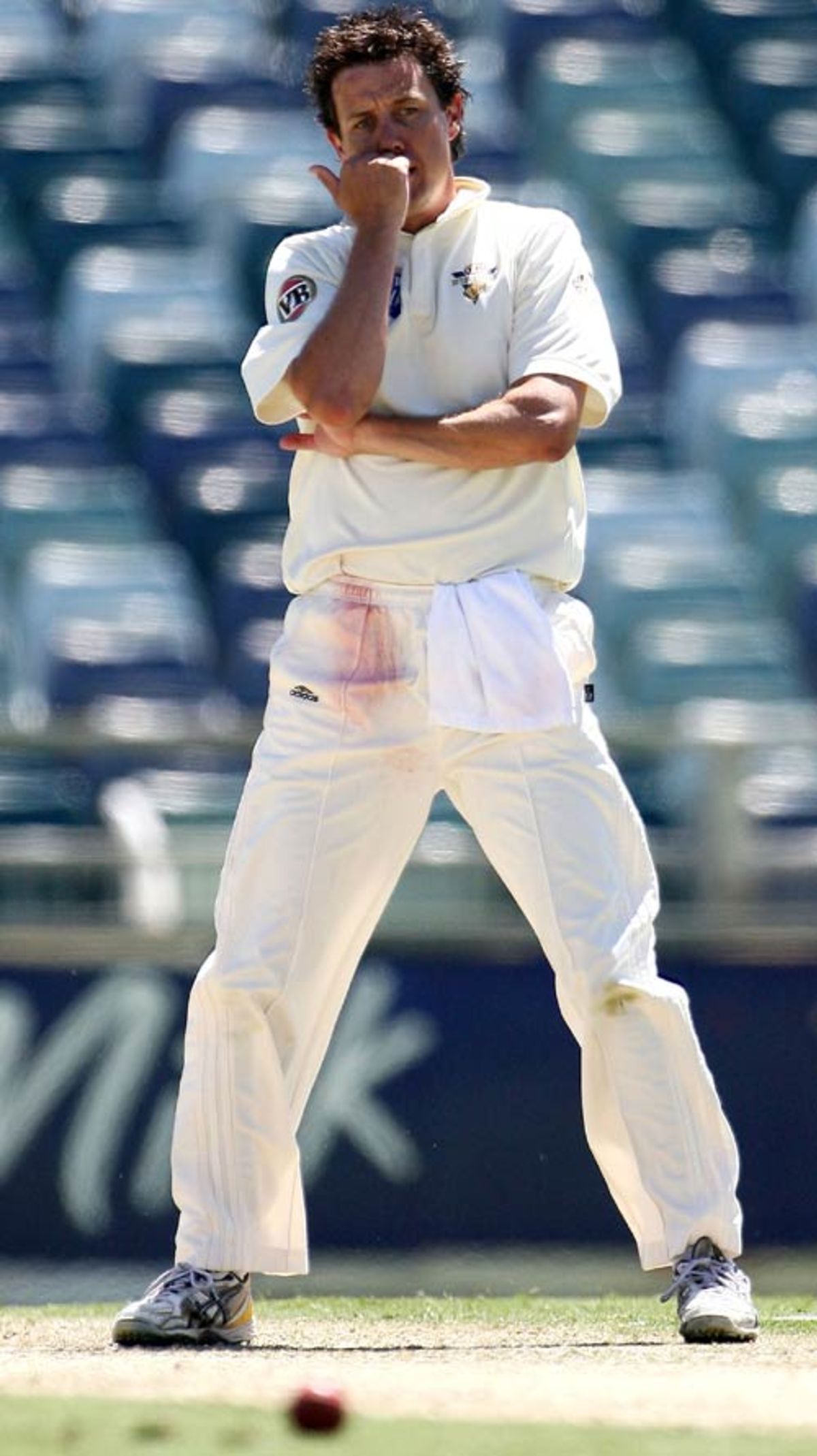 Bryce McGain in his delivery stride | ESPNcricinfo.com