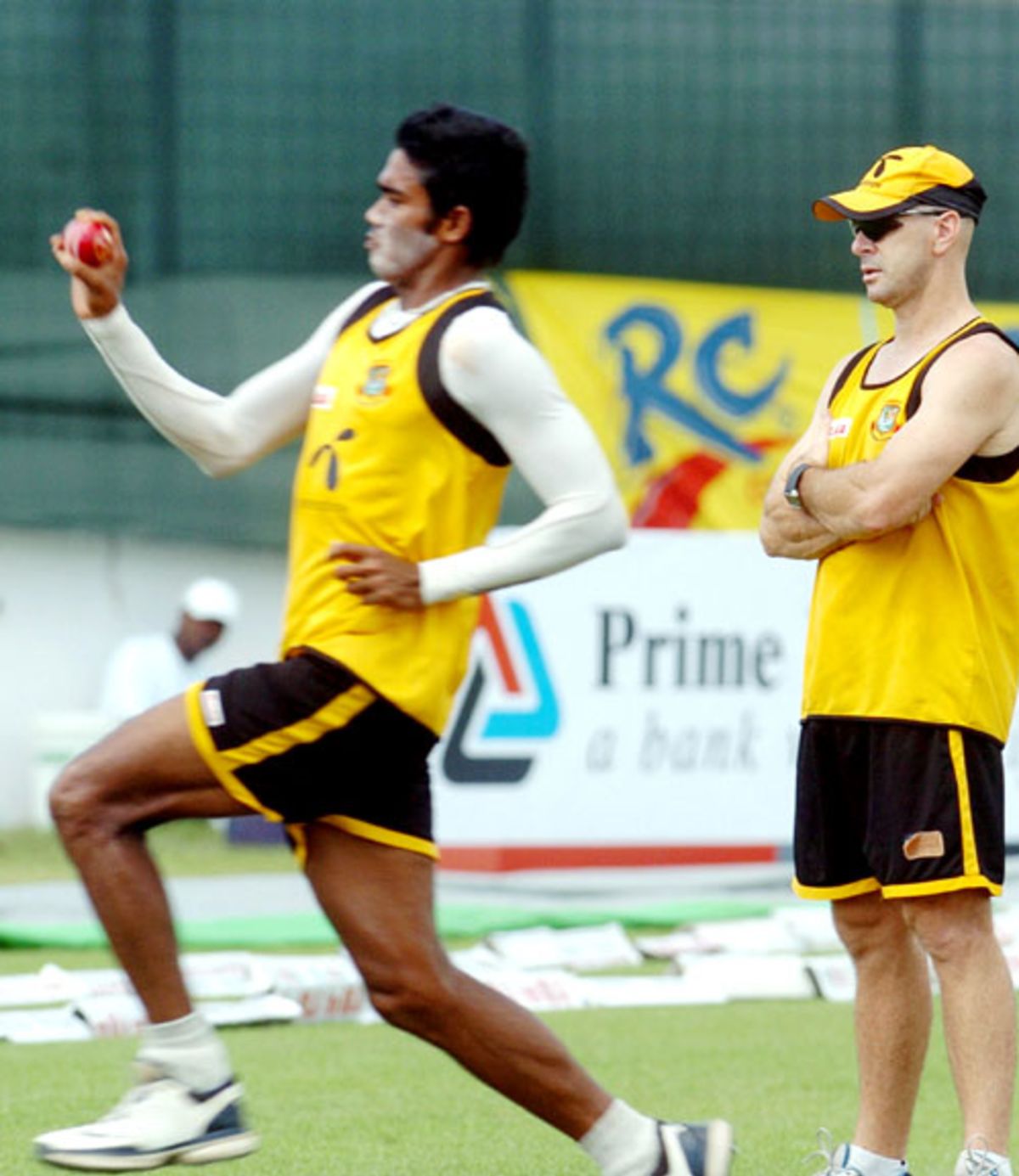 Brad Haddin pouches the attention | ESPNcricinfo.com