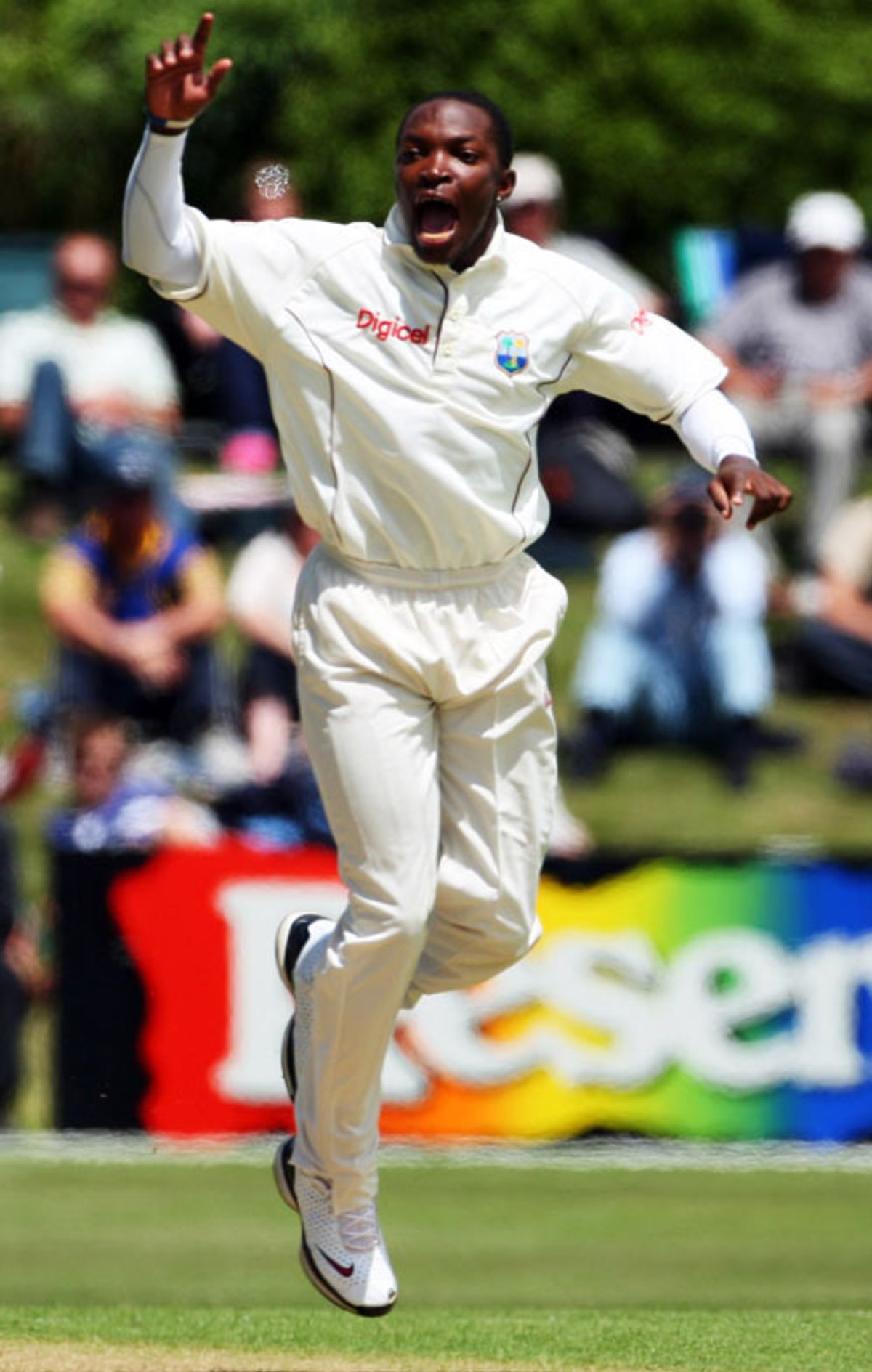 Fidel Edwards makes a confident appeal | ESPNcricinfo.com