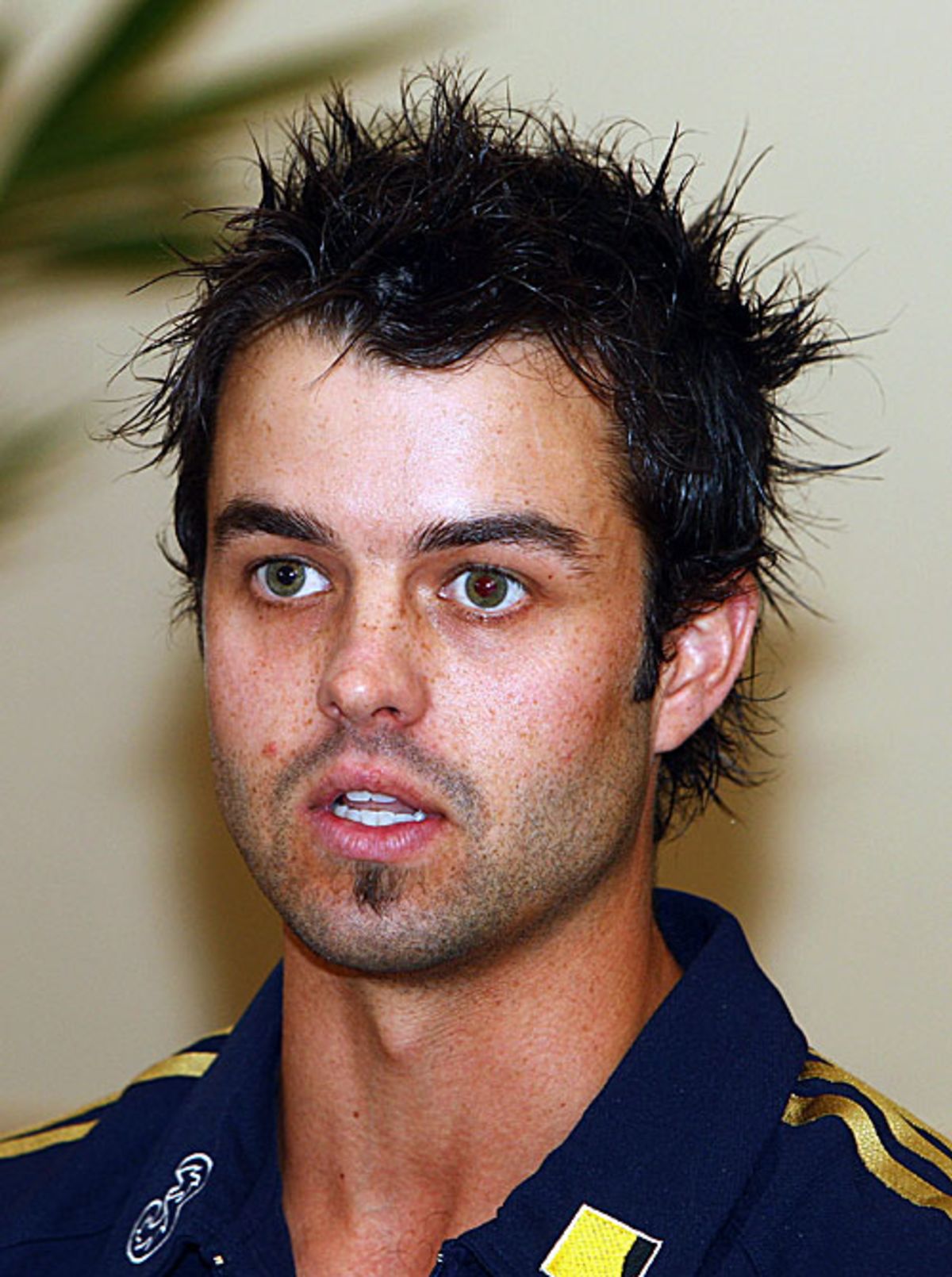 Callum Ferguson and Cameron White address a press conference ...