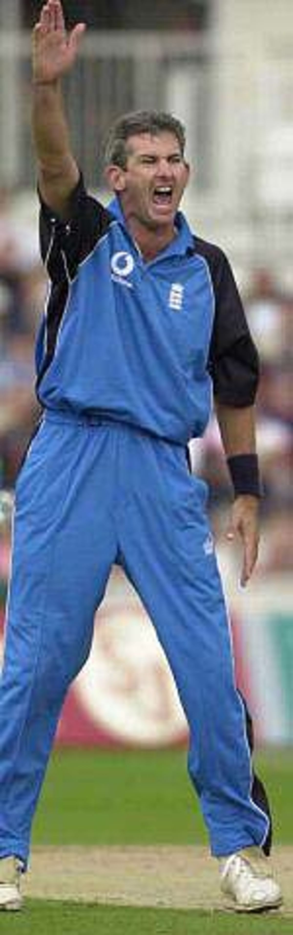 Andy Caddick bowling appeal , thumbnail , 2001 | ESPNcricinfo.com