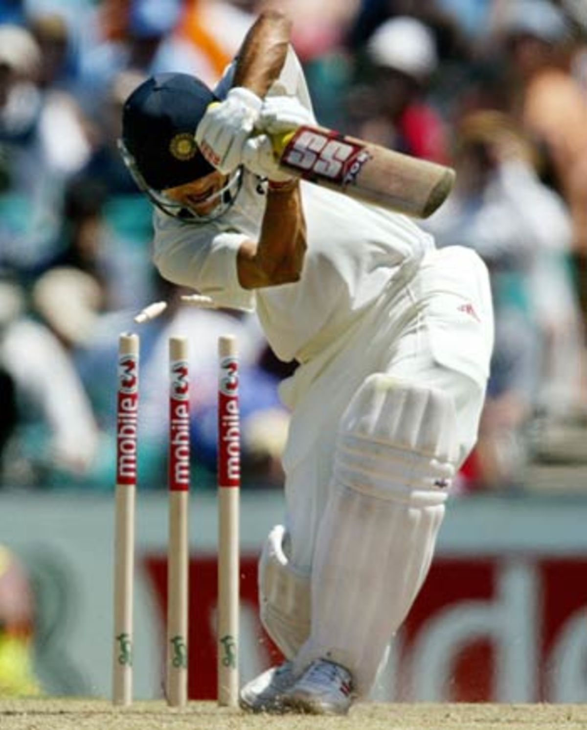 It's celebration time for Brett Lee | ESPNcricinfo.com