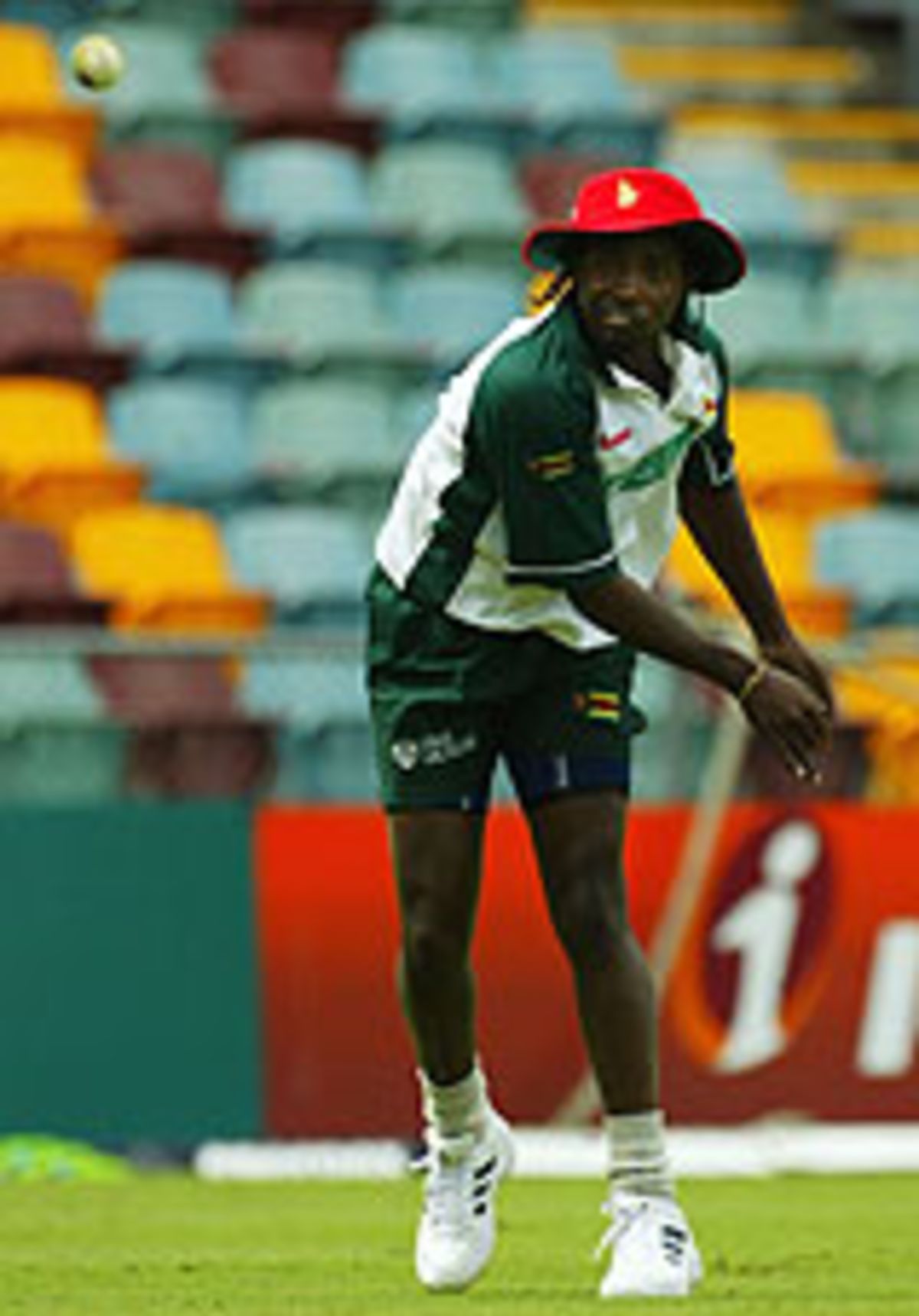 Douglas Hondo warms up for Indian challenge | ESPNcricinfo.com