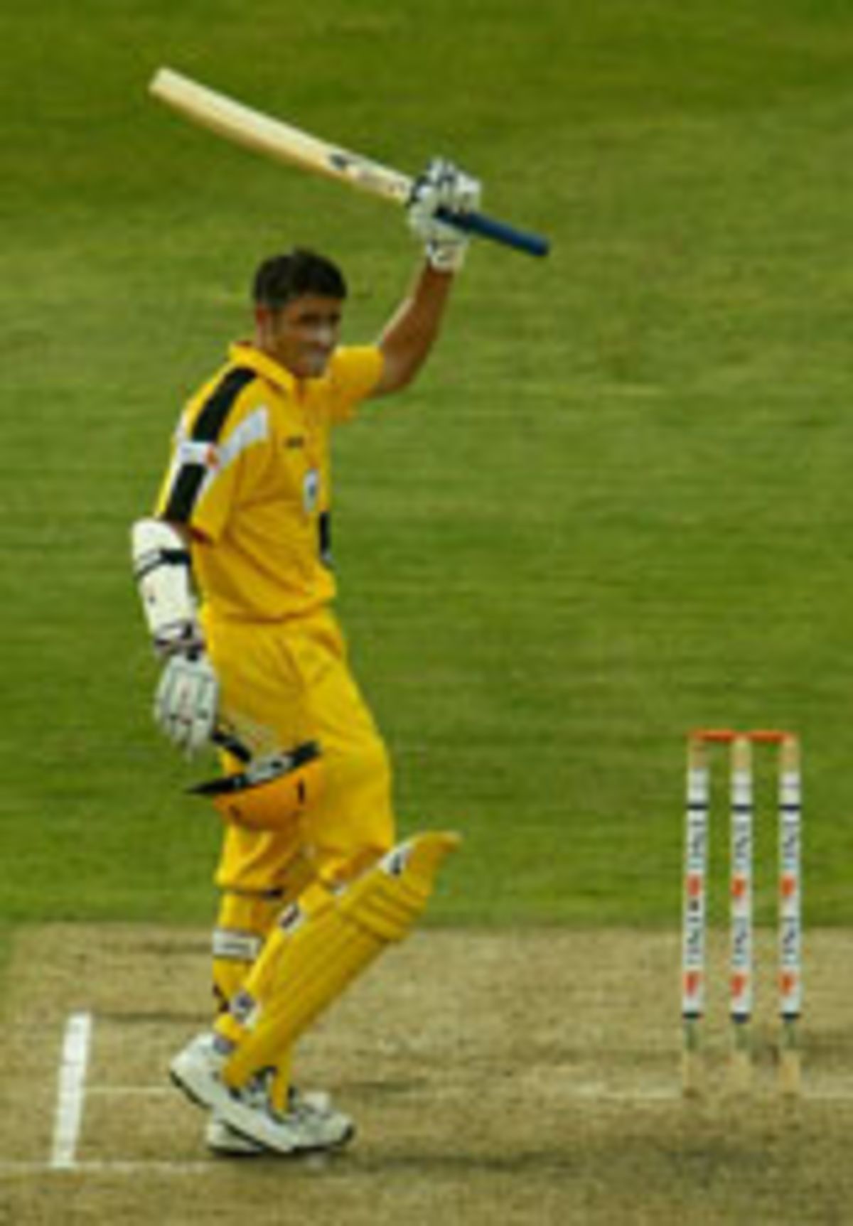 Michael Hussey celebrates his hundred | ESPNcricinfo.com