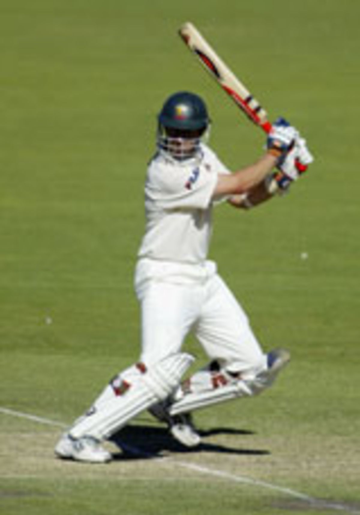 Michael Dighton on the attack | ESPNcricinfo.com
