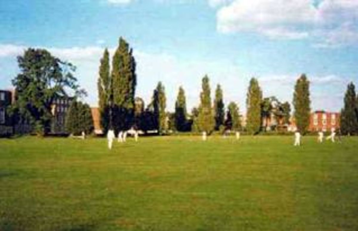 Berlin Cricket Ground | ESPNcricinfo.com