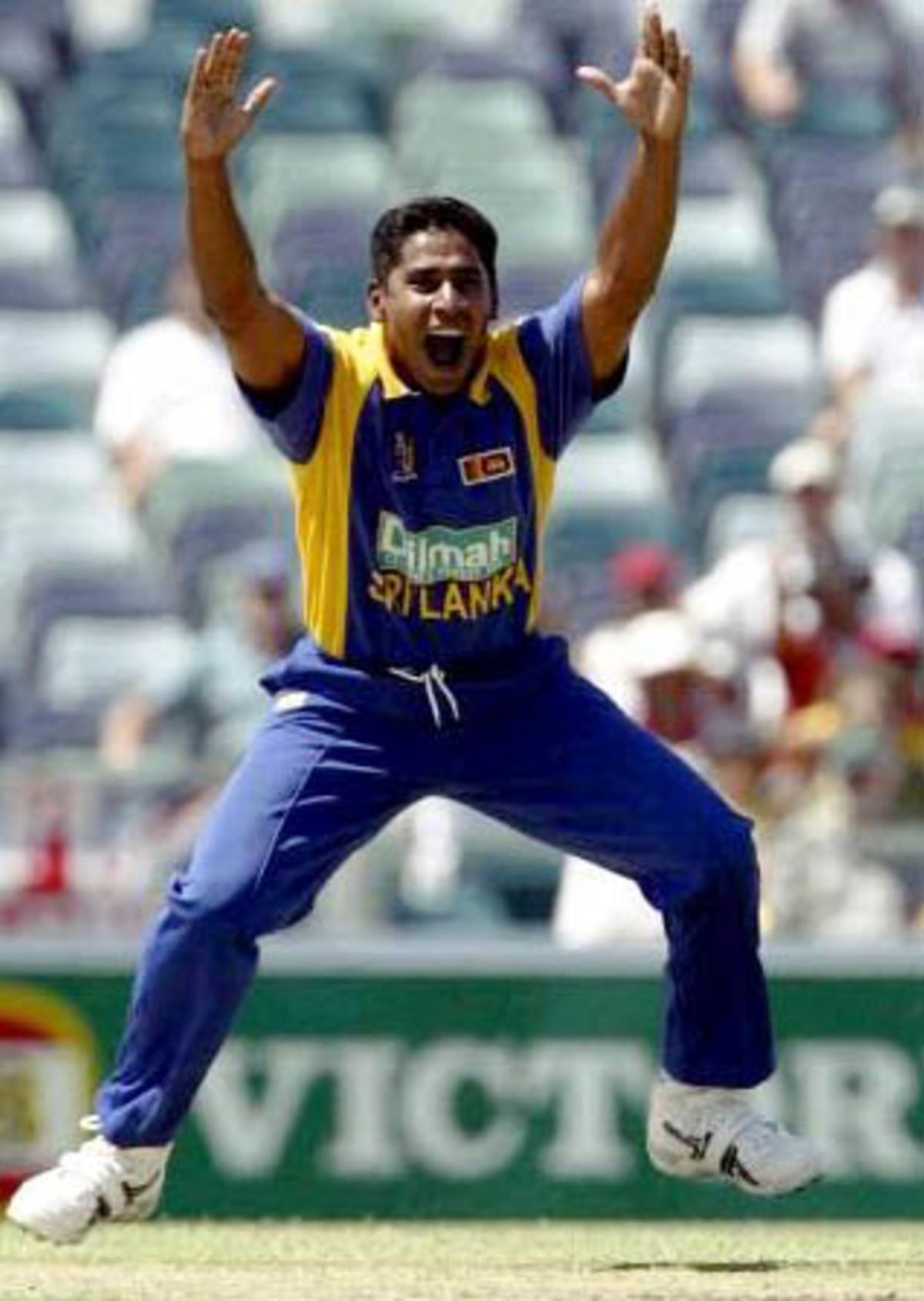 Chaminda Vaas - Appealing | ESPNcricinfo.com