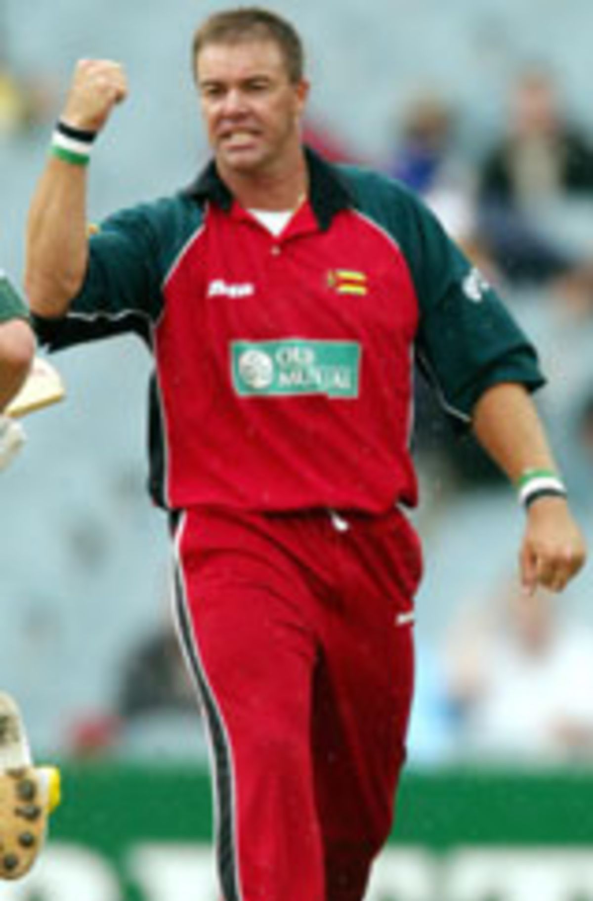 Heath Streak celebrates the wicket of Damien Martyn | ESPNcricinfo.com