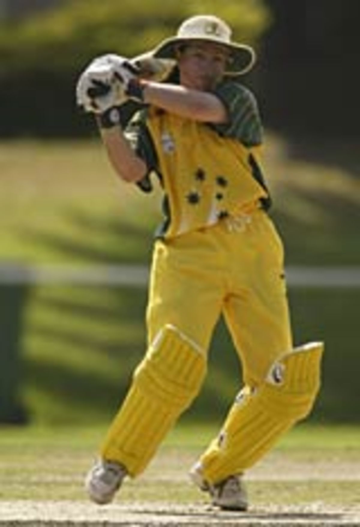 Karen Rolton | ESPNcricinfo.com