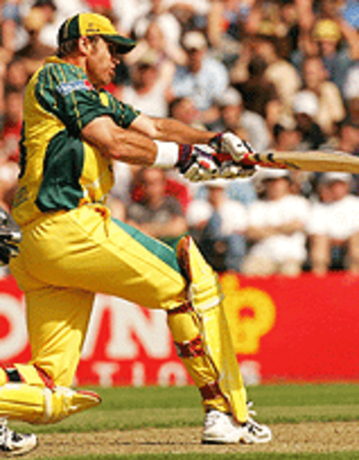 Matthew Hayden celebrates | ESPNcricinfo.com