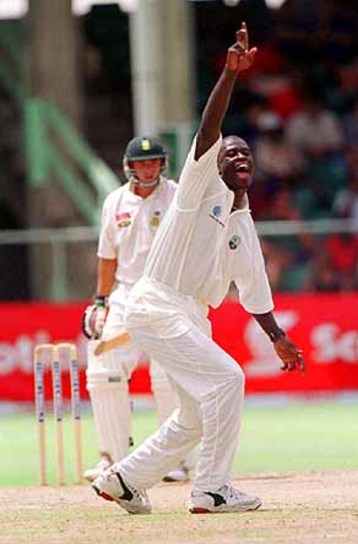 Cameron Cuffy with a vociferous appeal | ESPNcricinfo.com