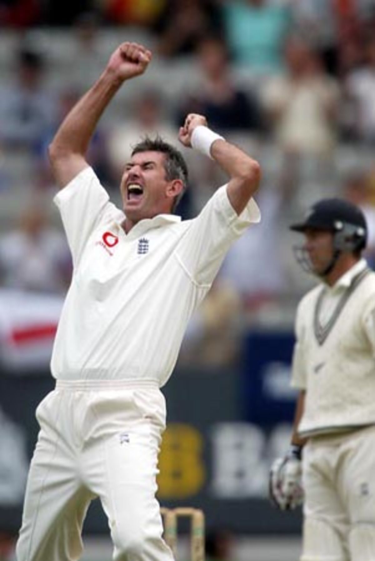 Caddick celebrates a wicket | ESPNcricinfo.com